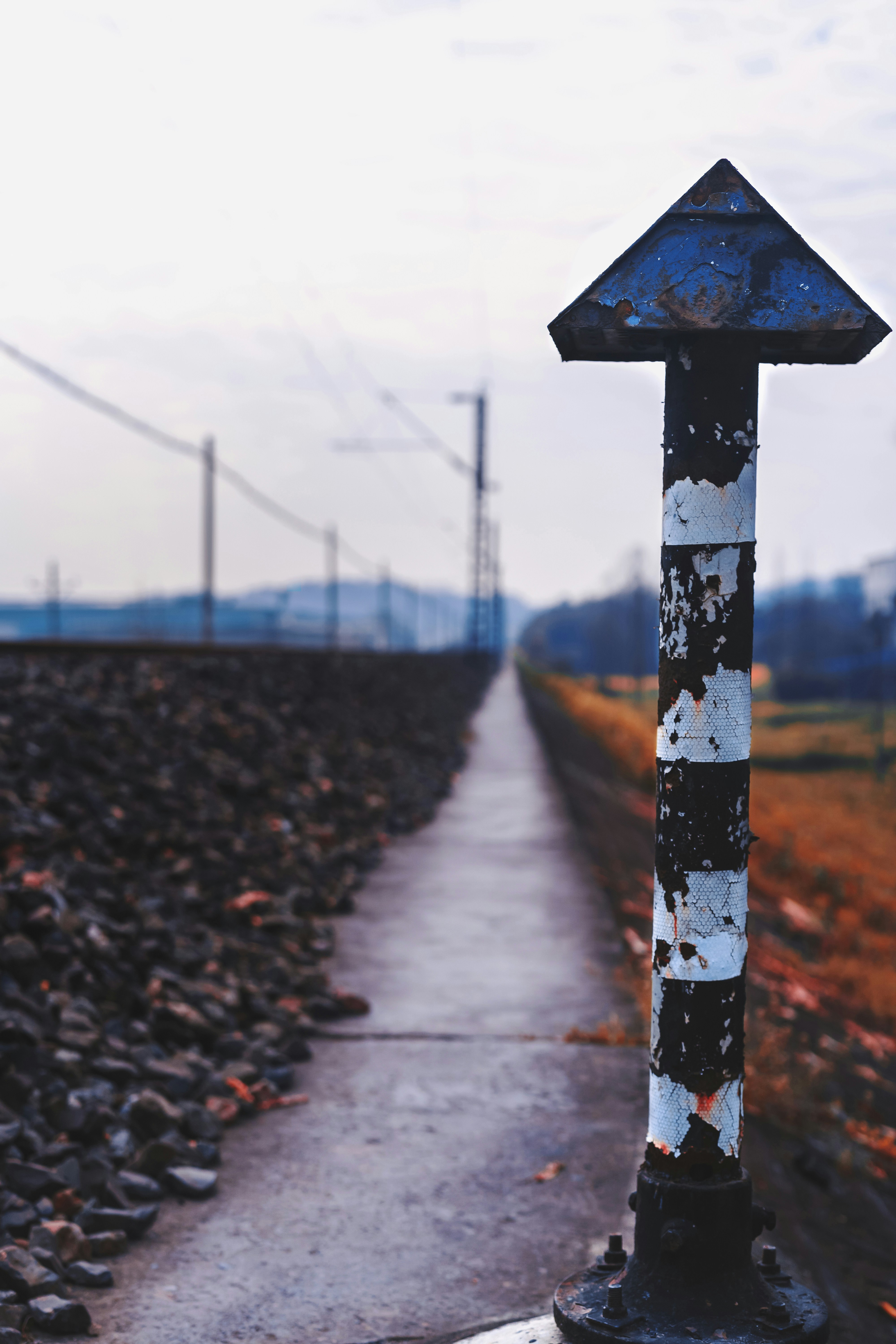 Blue-Topped Sentinel by the Distant Rail