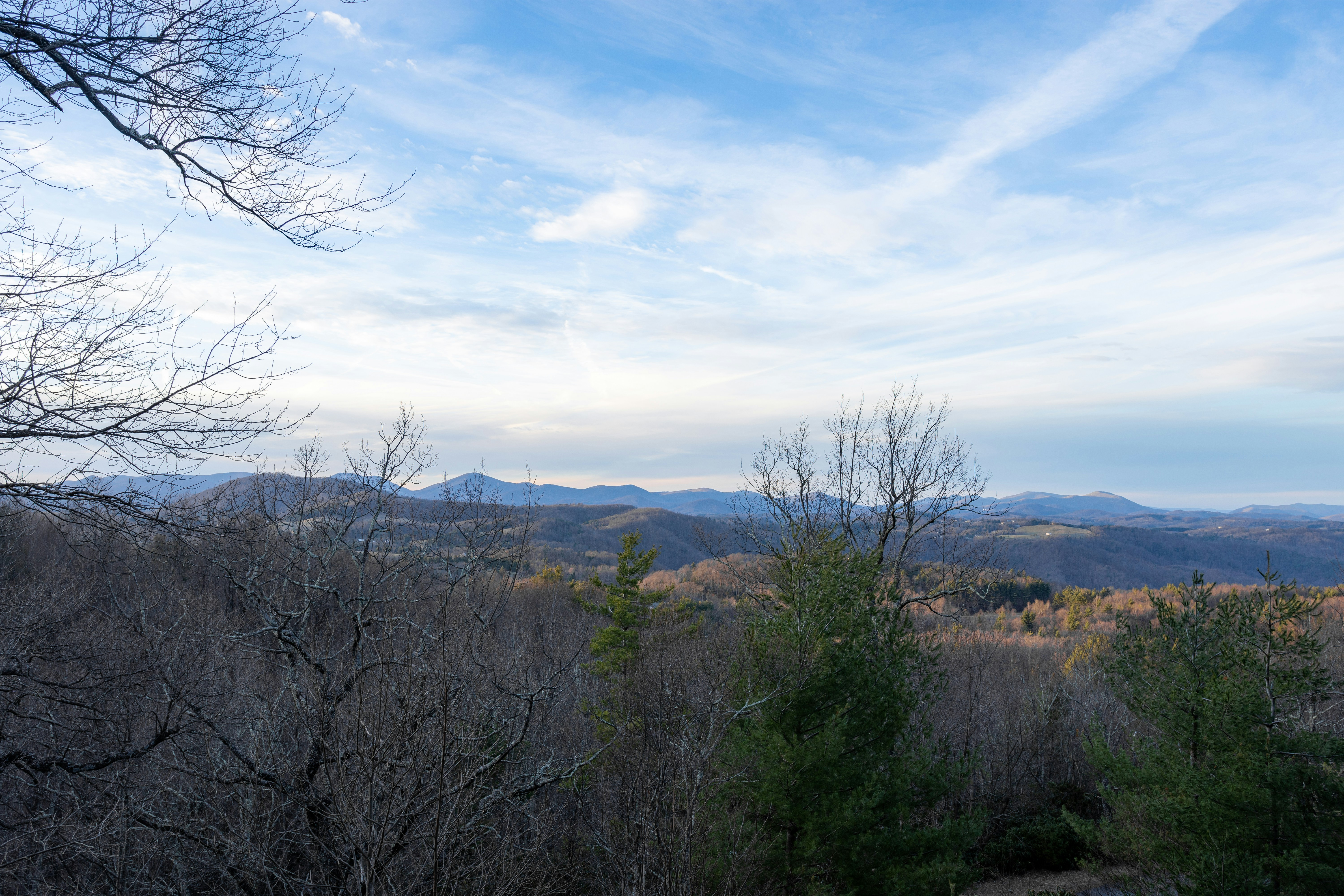 Christopher Jolly (@chris_jolly) | Unsplash Photo Community