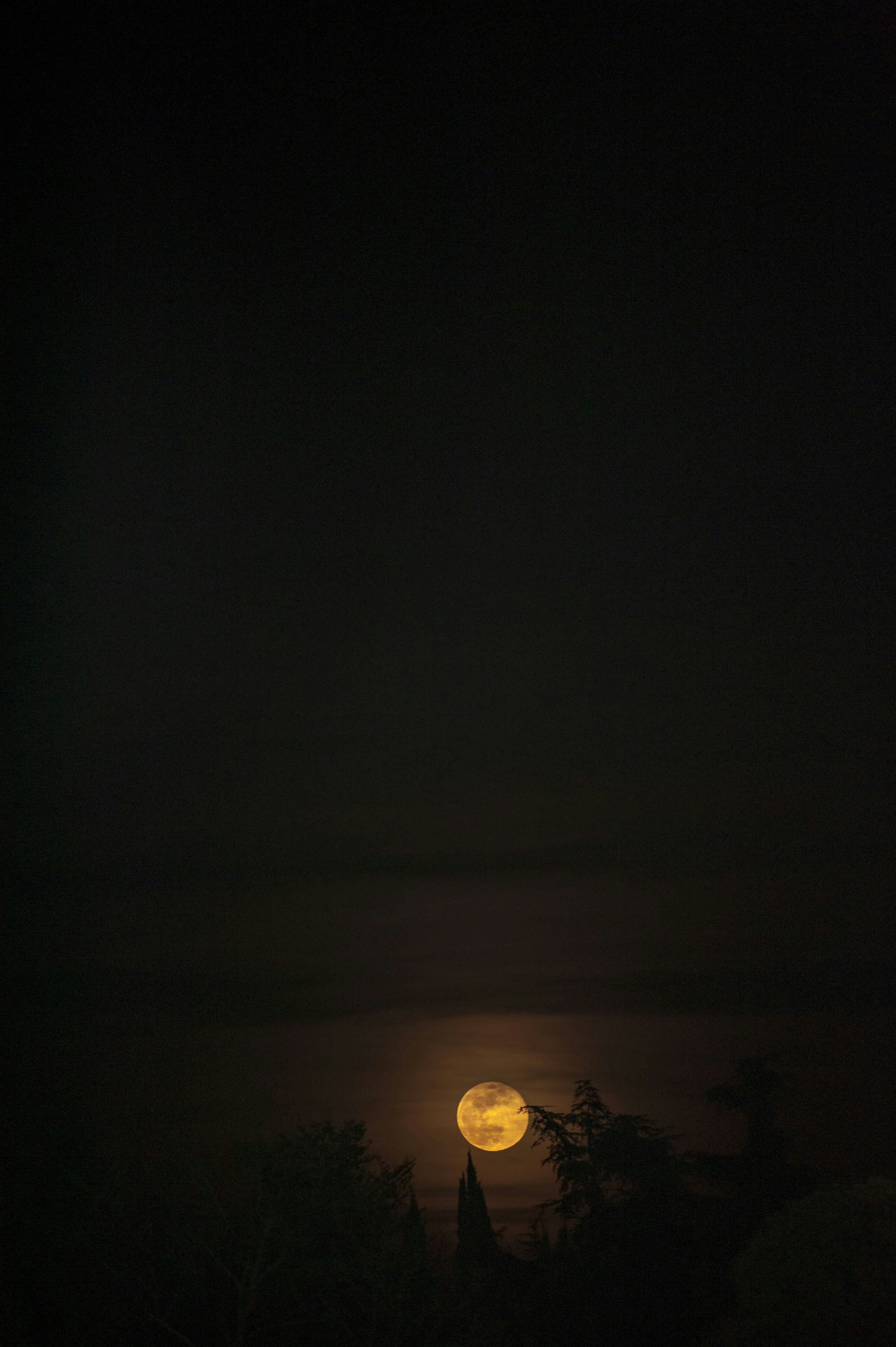 a full moon is seen in the night sky