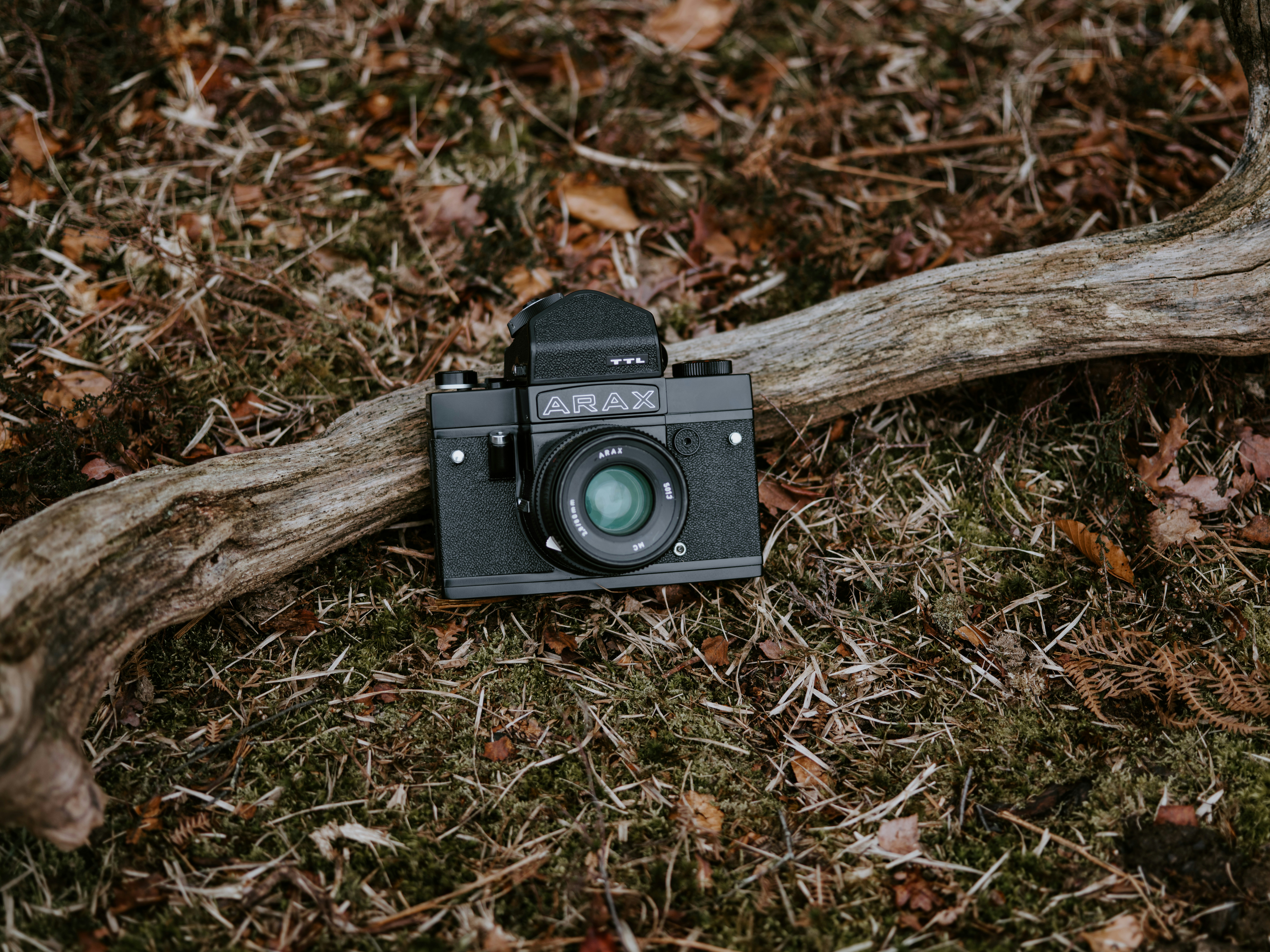 ARAX camera resting on a mossy ground, surrounded by autumn leaves and twigs.