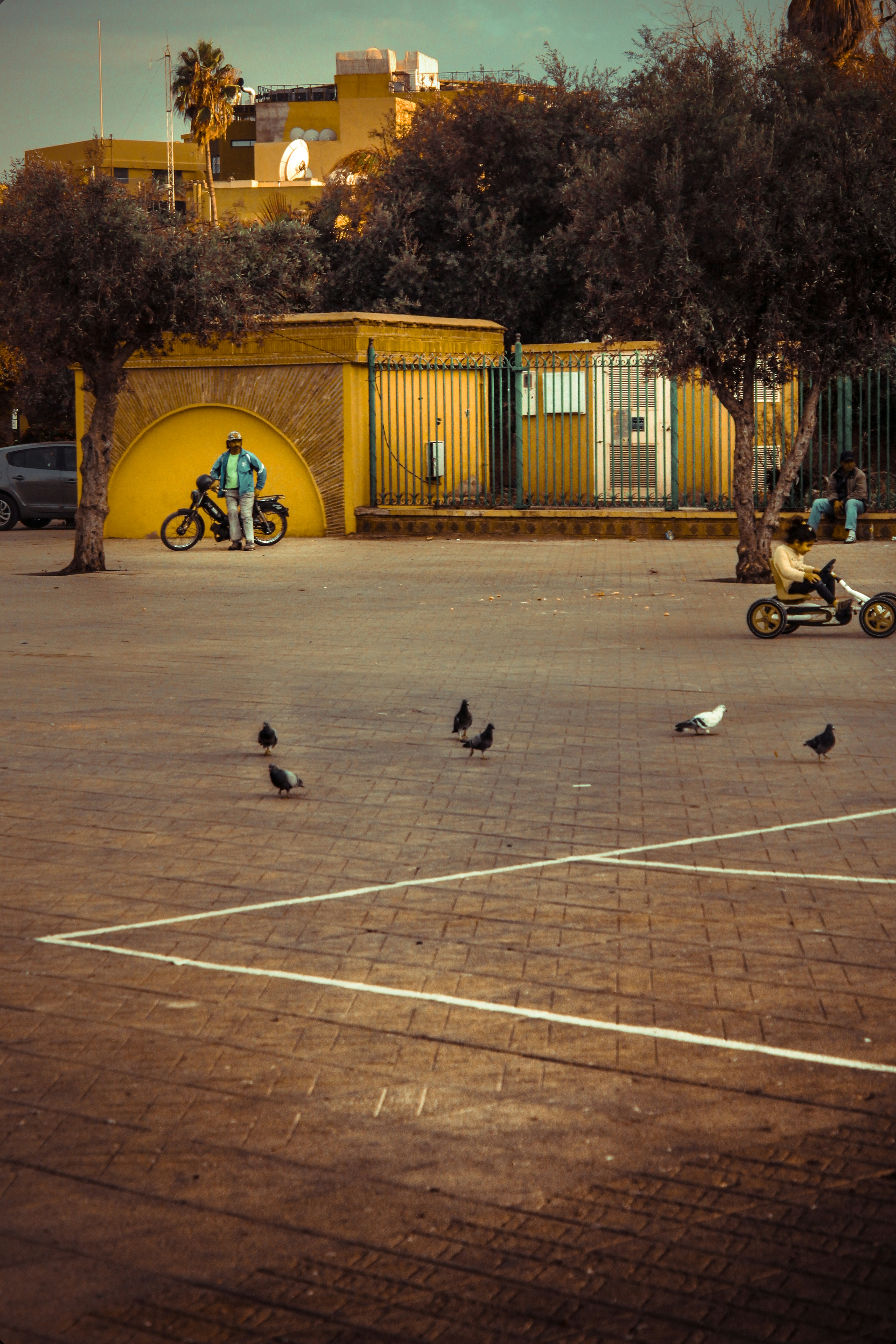 AGGRESSIVE COLORS | 3 best free outdoor, symbol, plant and clothing ...