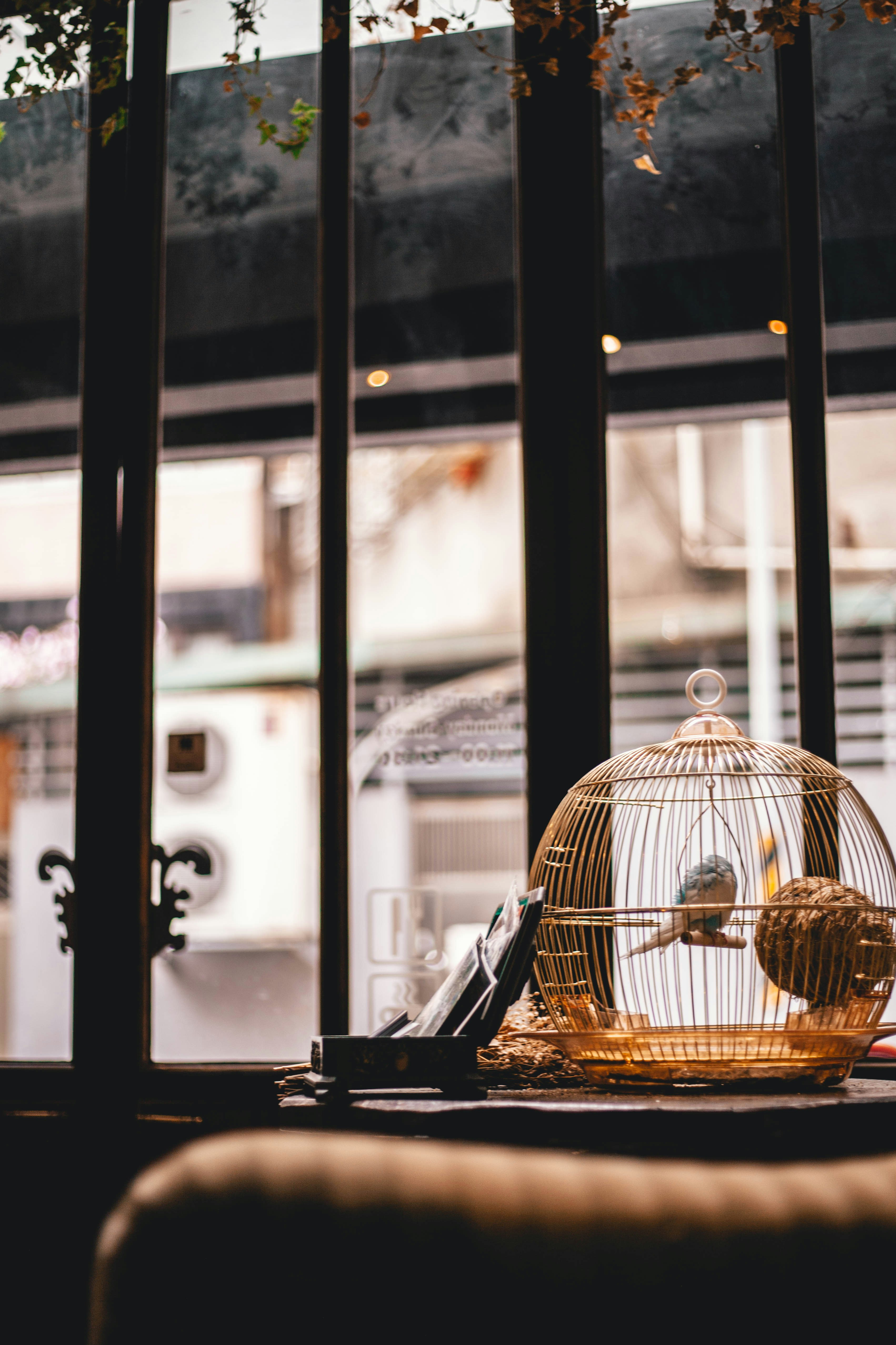 Brass Birdcage Framed by Window Bars in a Quiet Café