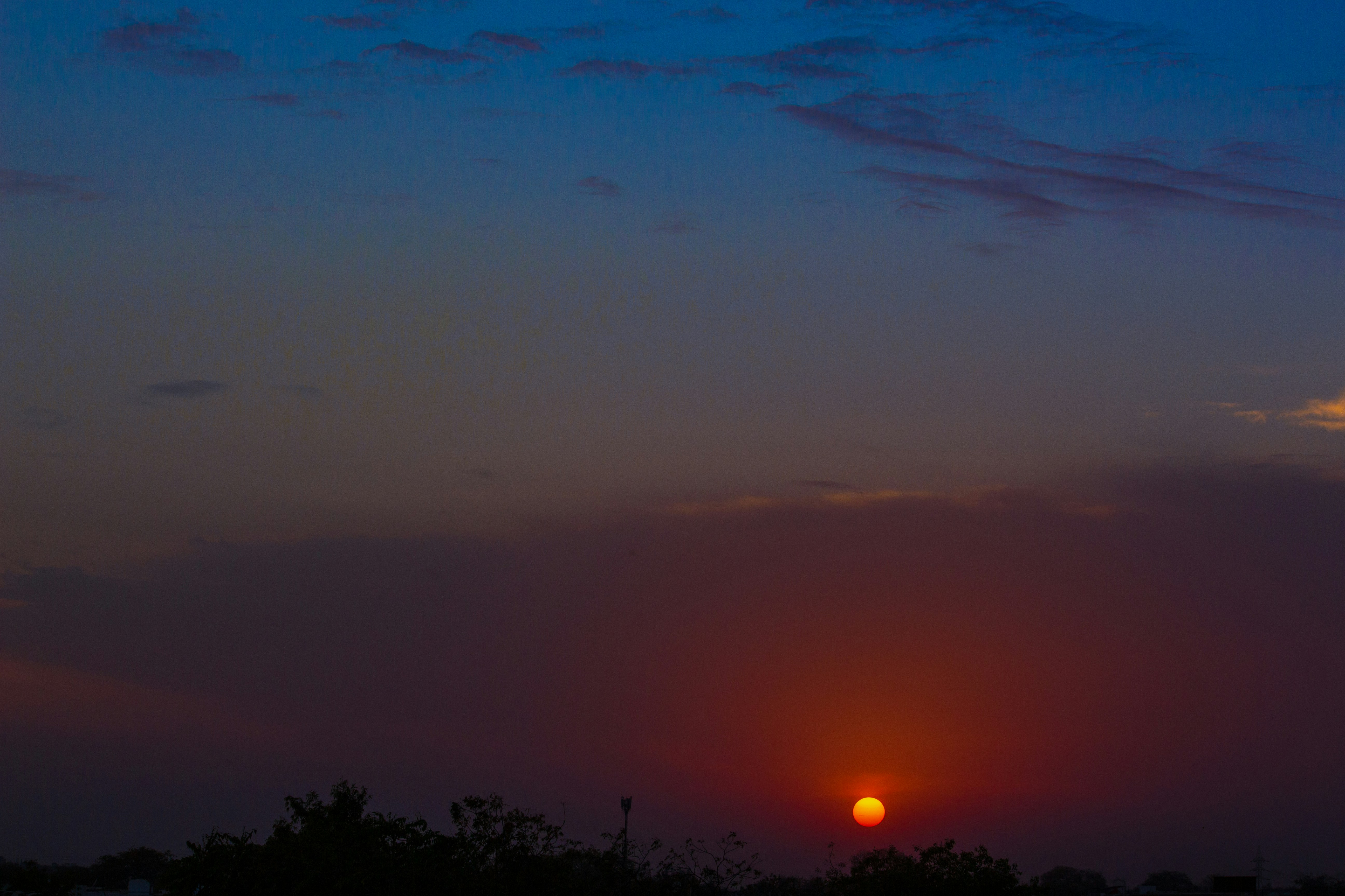 Dusk's Ember on the Horizon: Silhouettes Beneath a Quiet Sky