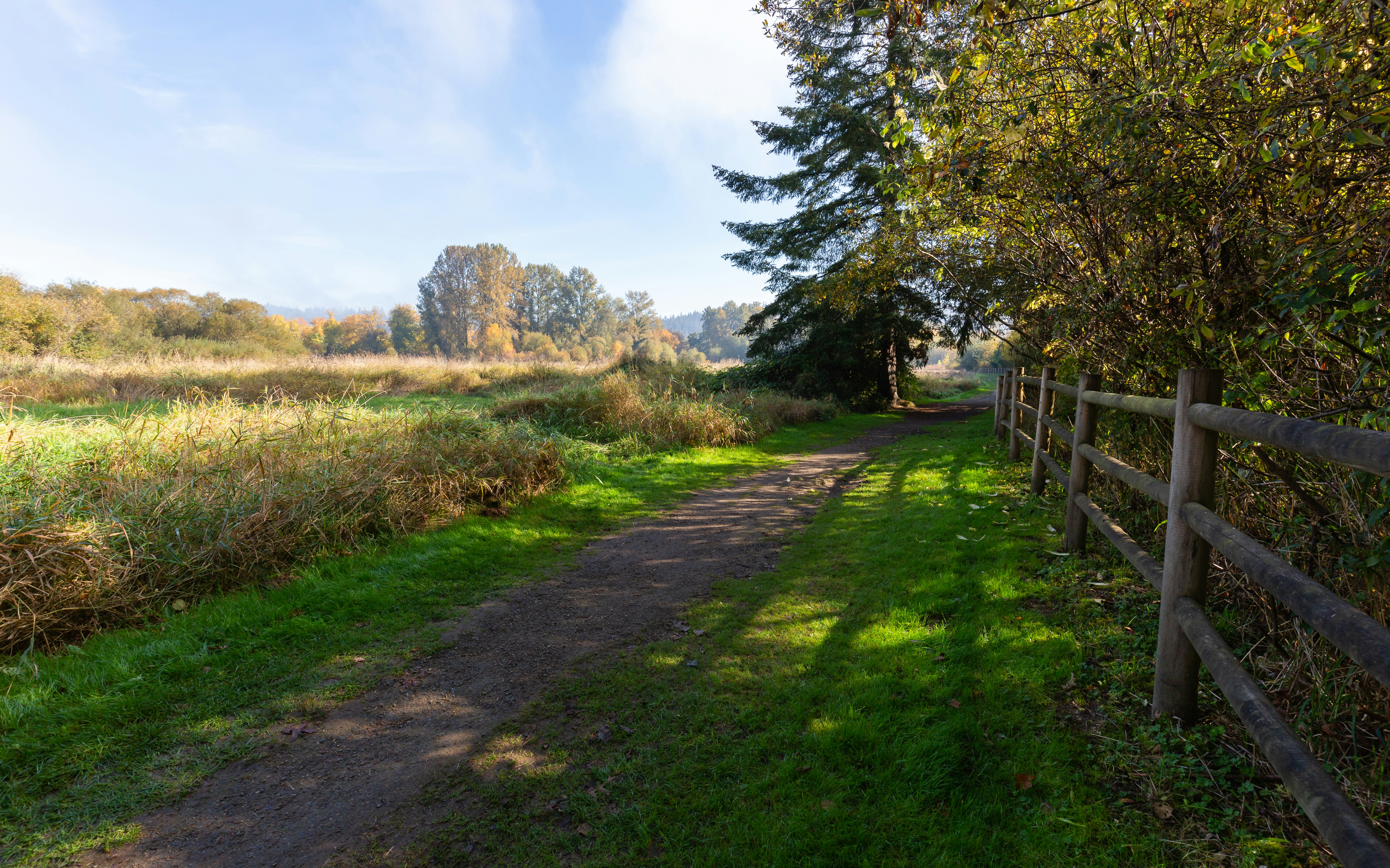 Green grass pathway photo – Free Usa Image on Unsplash