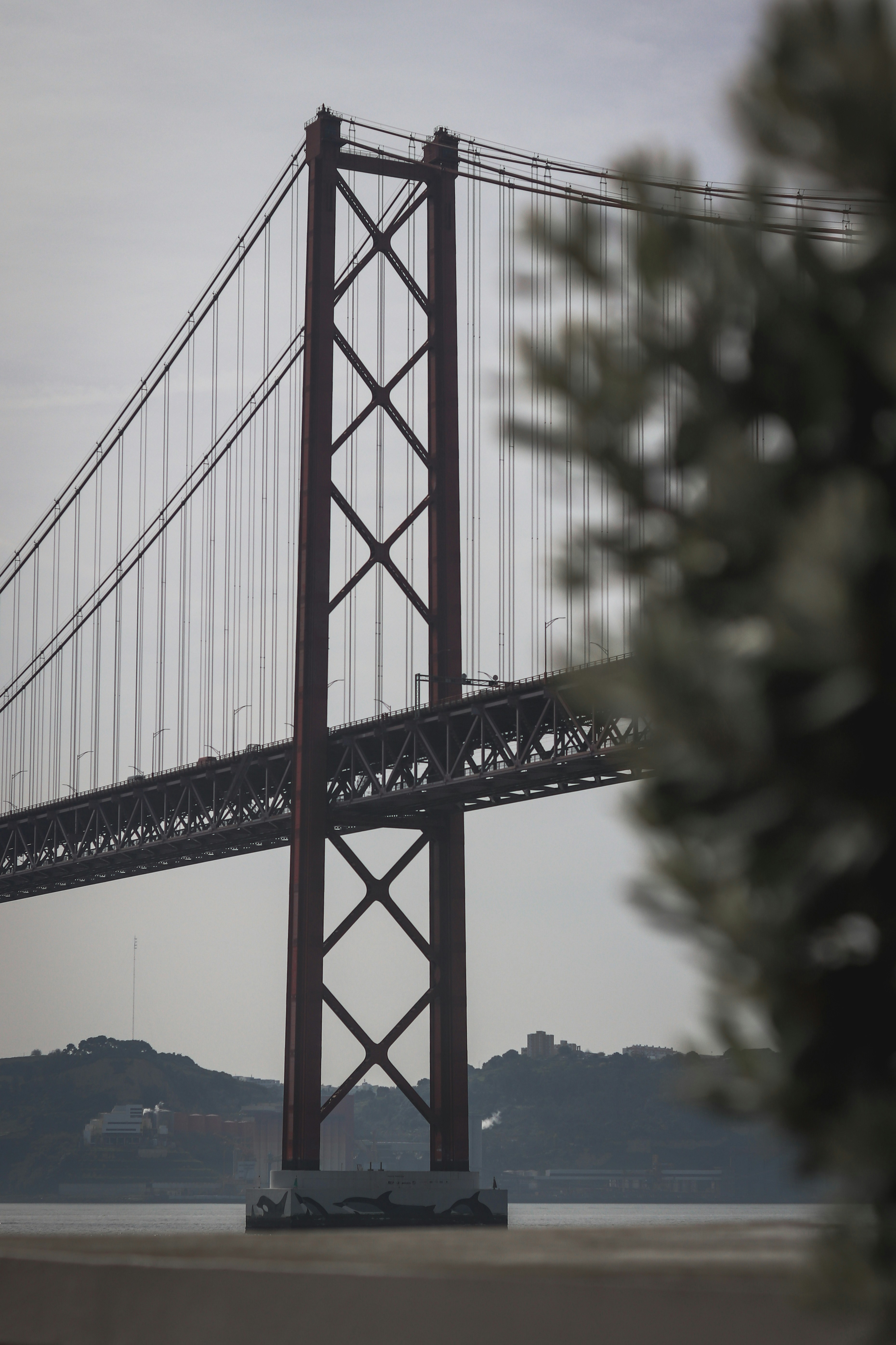 Iconic suspension bridge rising above the landscape, framed by soft foliage in the foreground. A glimpse into architectural prowess against a muted sky.