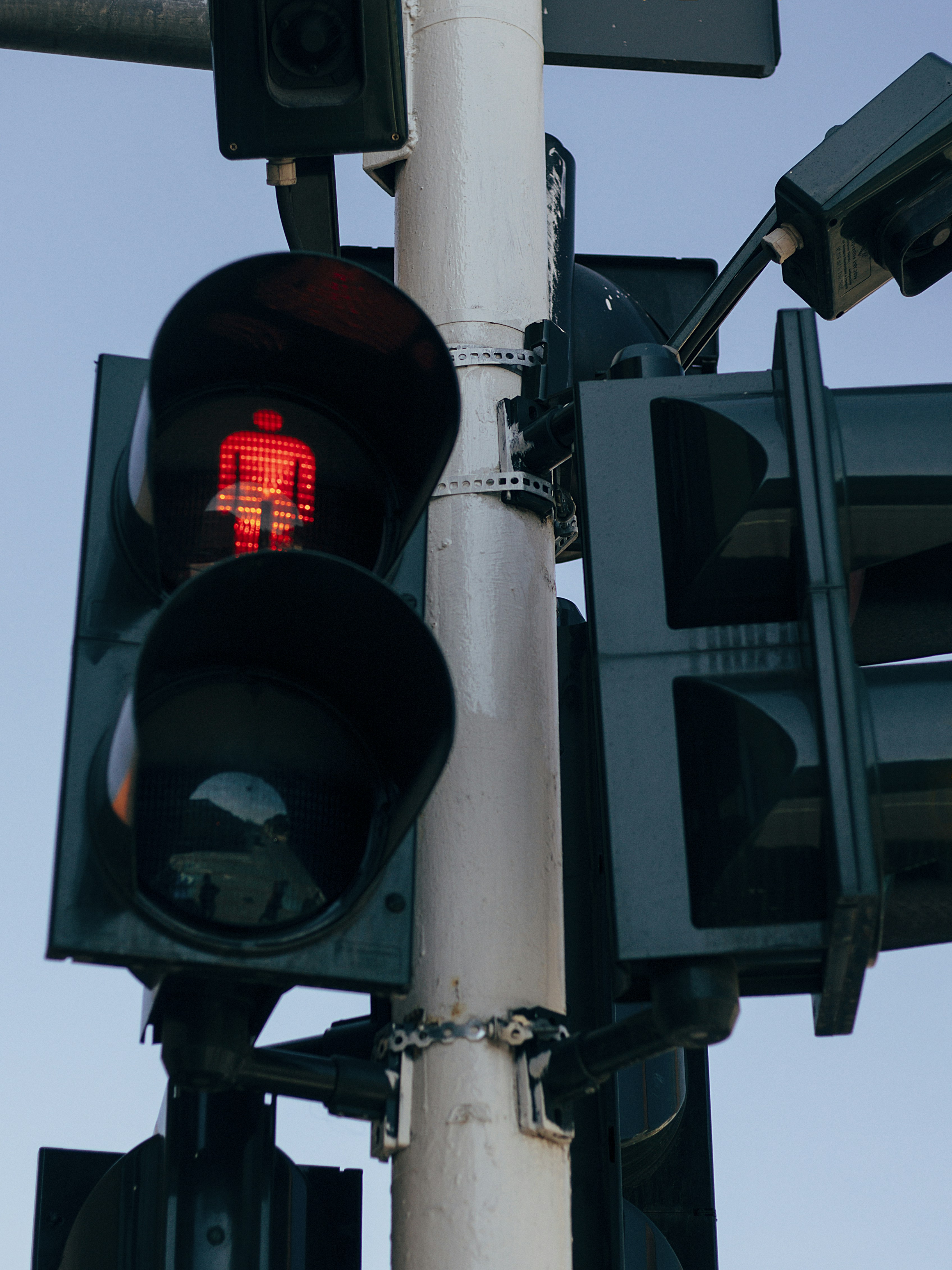 Traffic light on stop sign during daytime photo – Free Traffic light ...