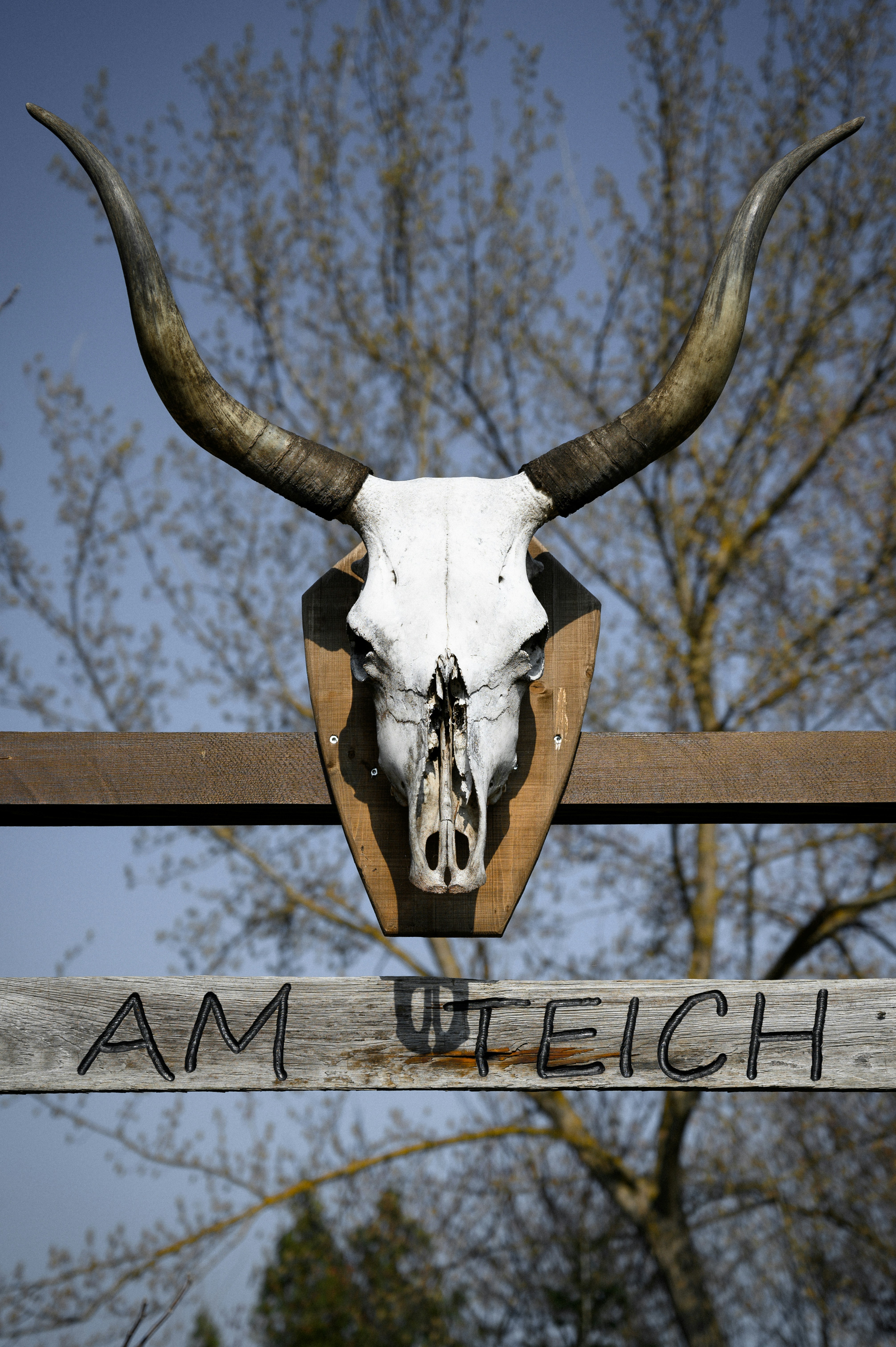 Echoes of the Wild: A Rustic Tribute