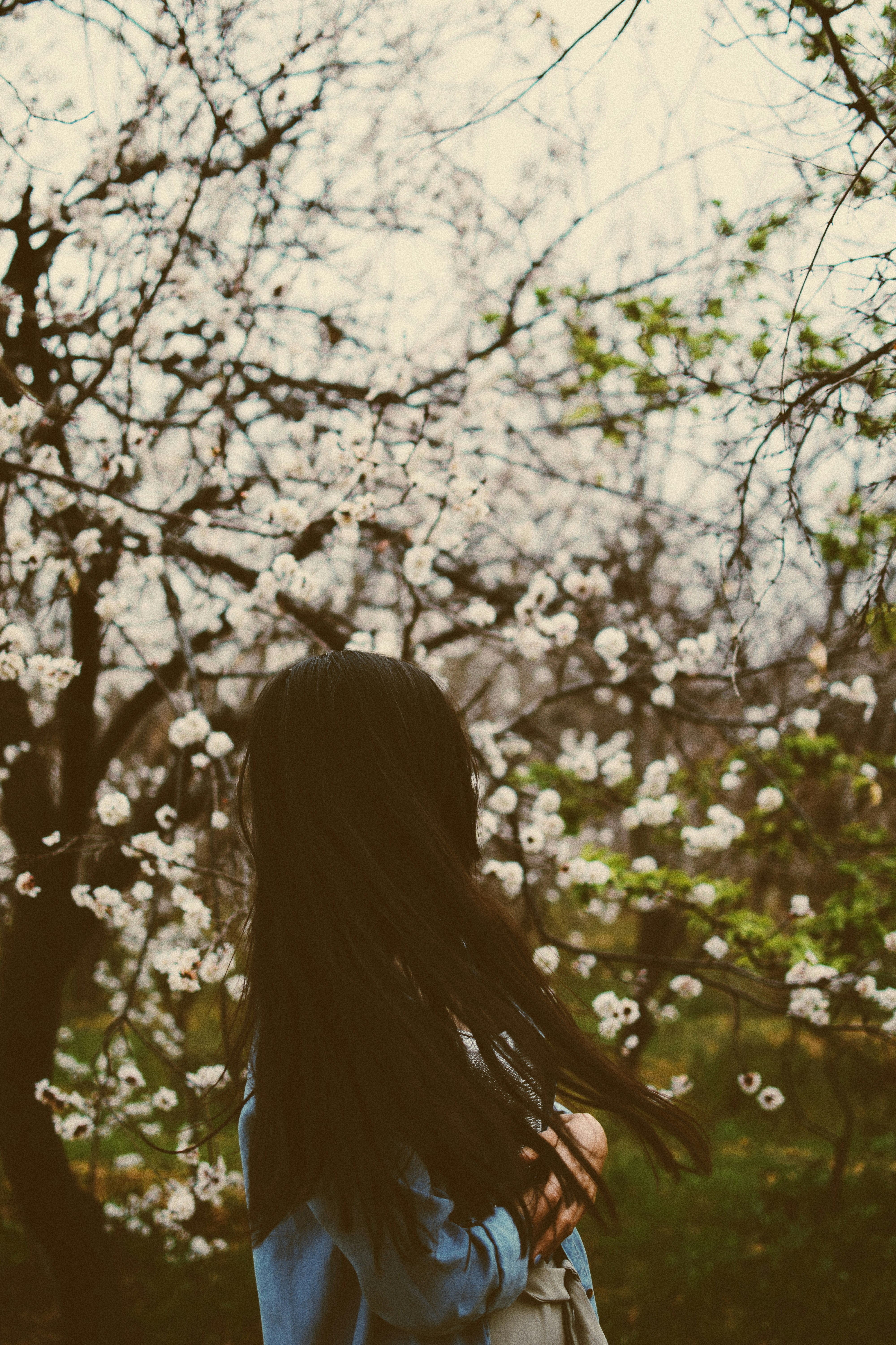 A figure with long hair stands among blooming branches, evoking a sense of serenity and connection to nature.