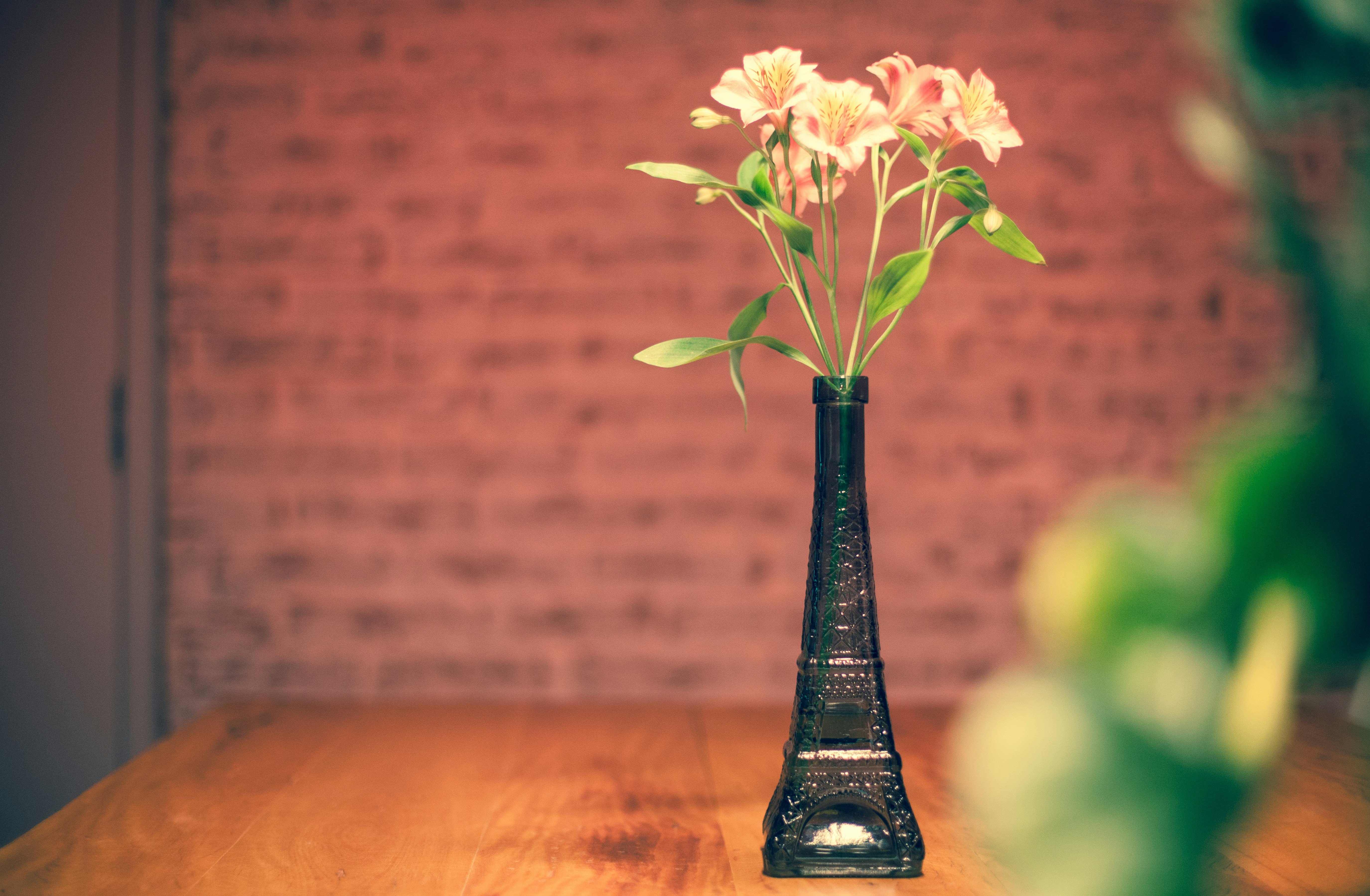 Petals in a Petite Eiffel: A Quiet Still Life