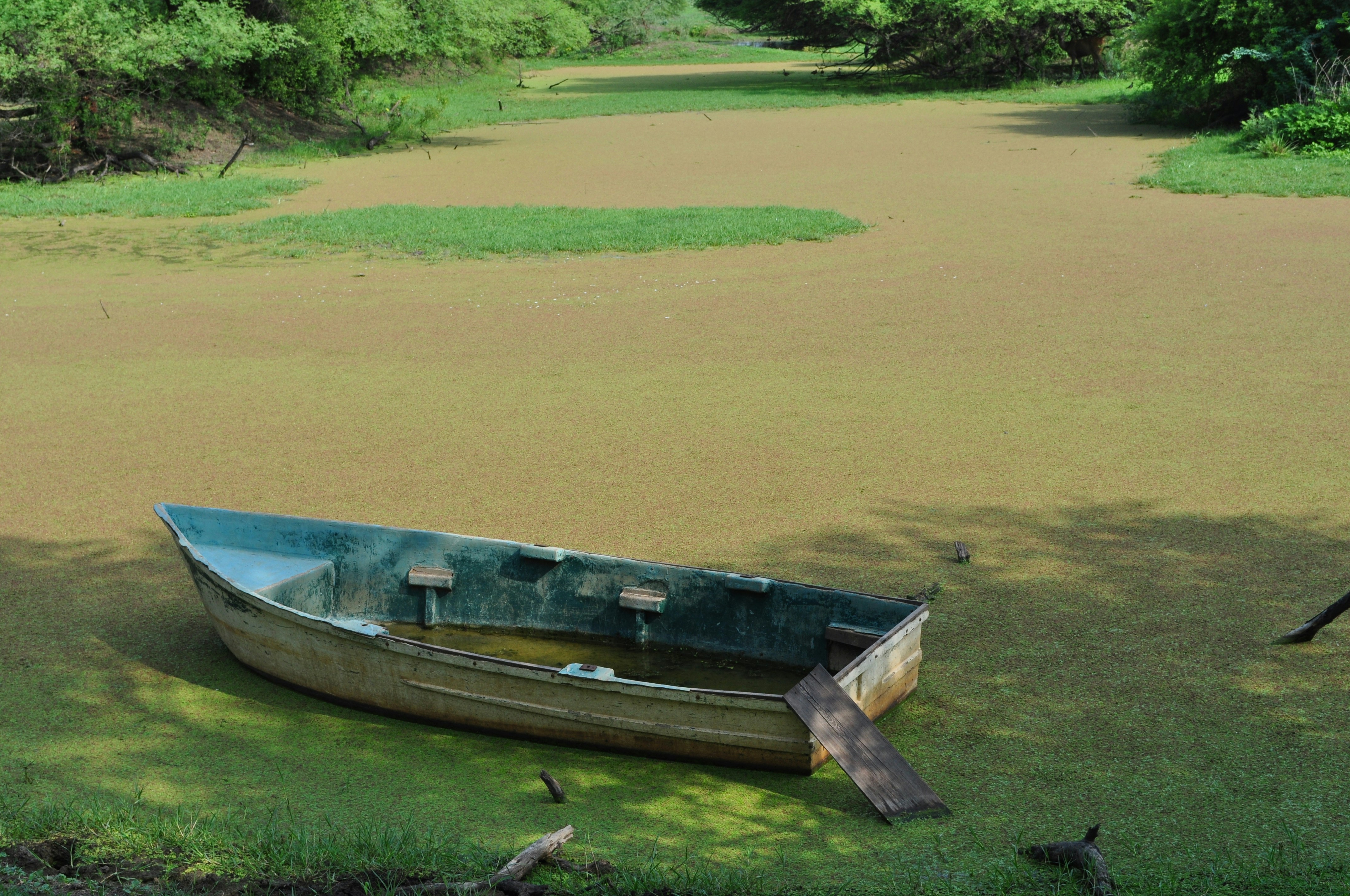 a small boat sitting on top of a lush green field