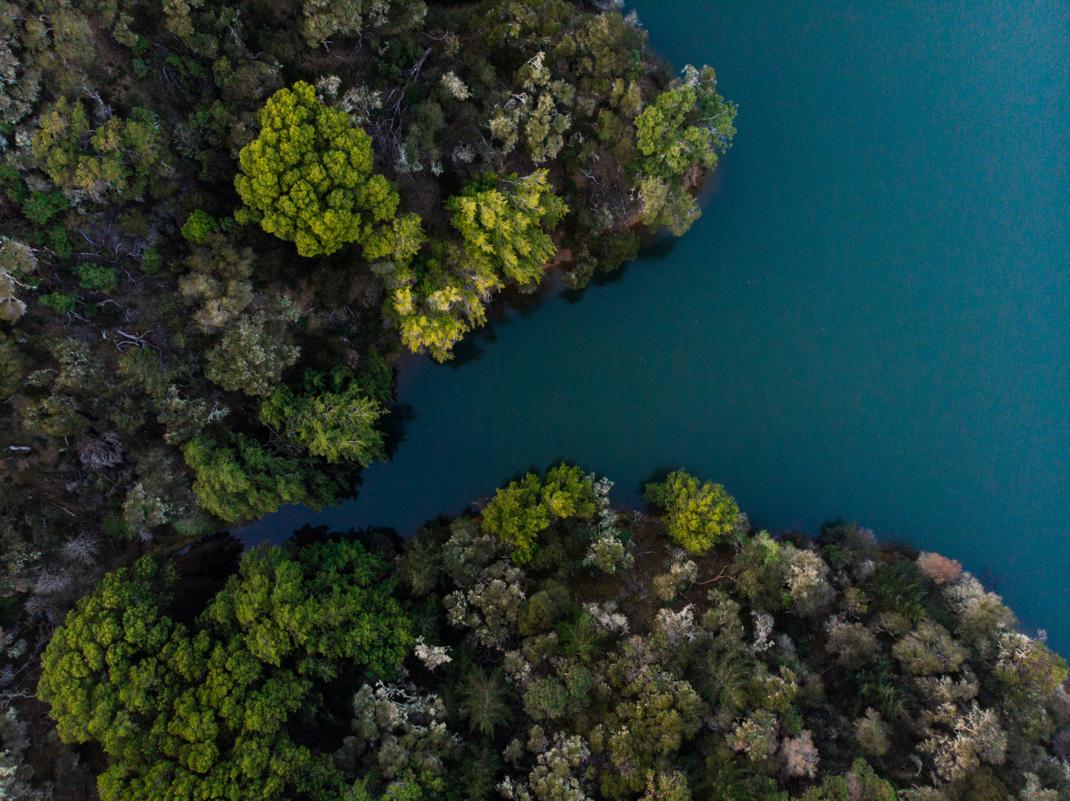Lush green foliage framing a vibrant turquoise waterway.