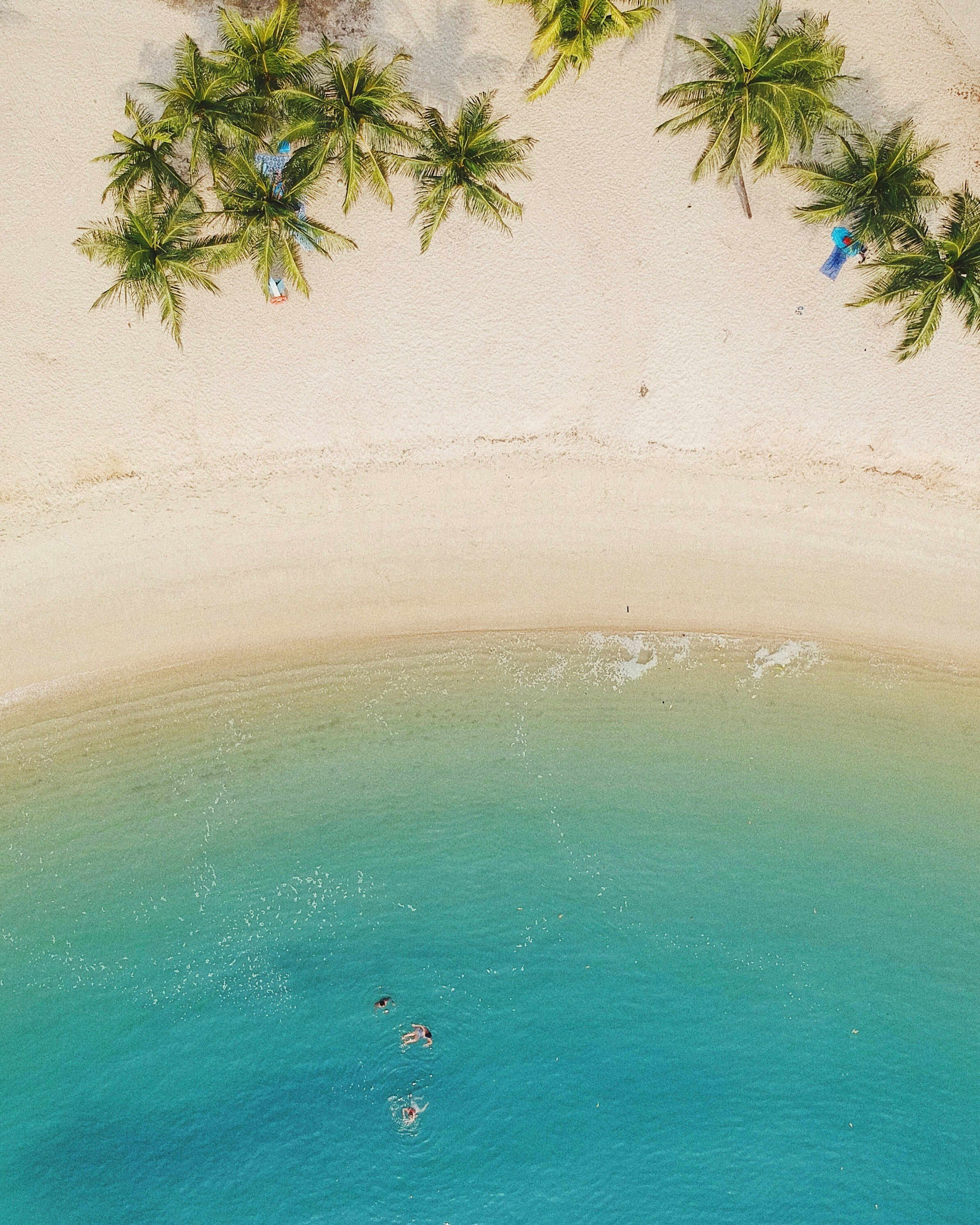 Beach Scene Pictures | Download Free Images on Unsplash