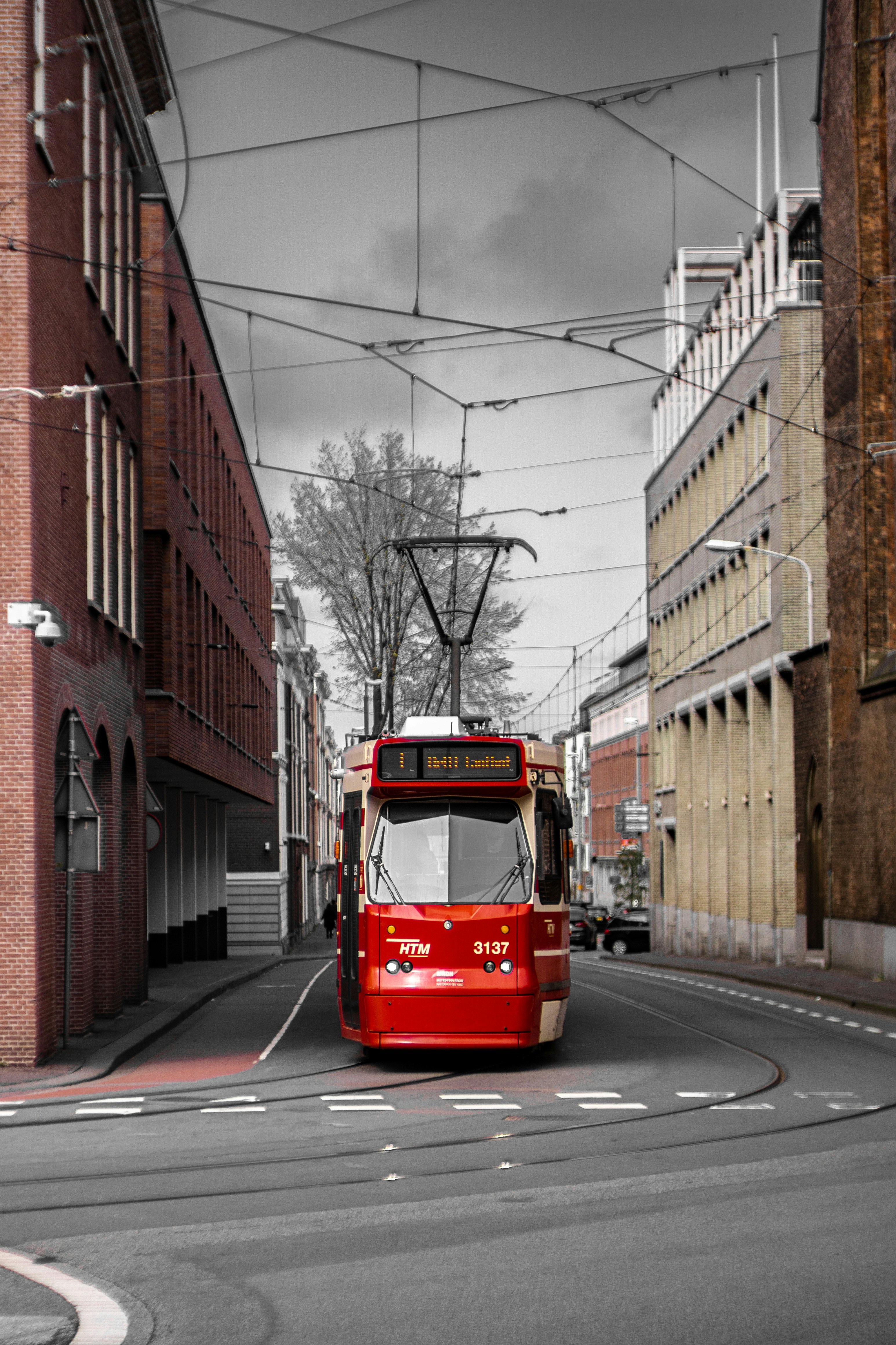 Crimson Streetcar Threads Through a Monochrome Cityscape