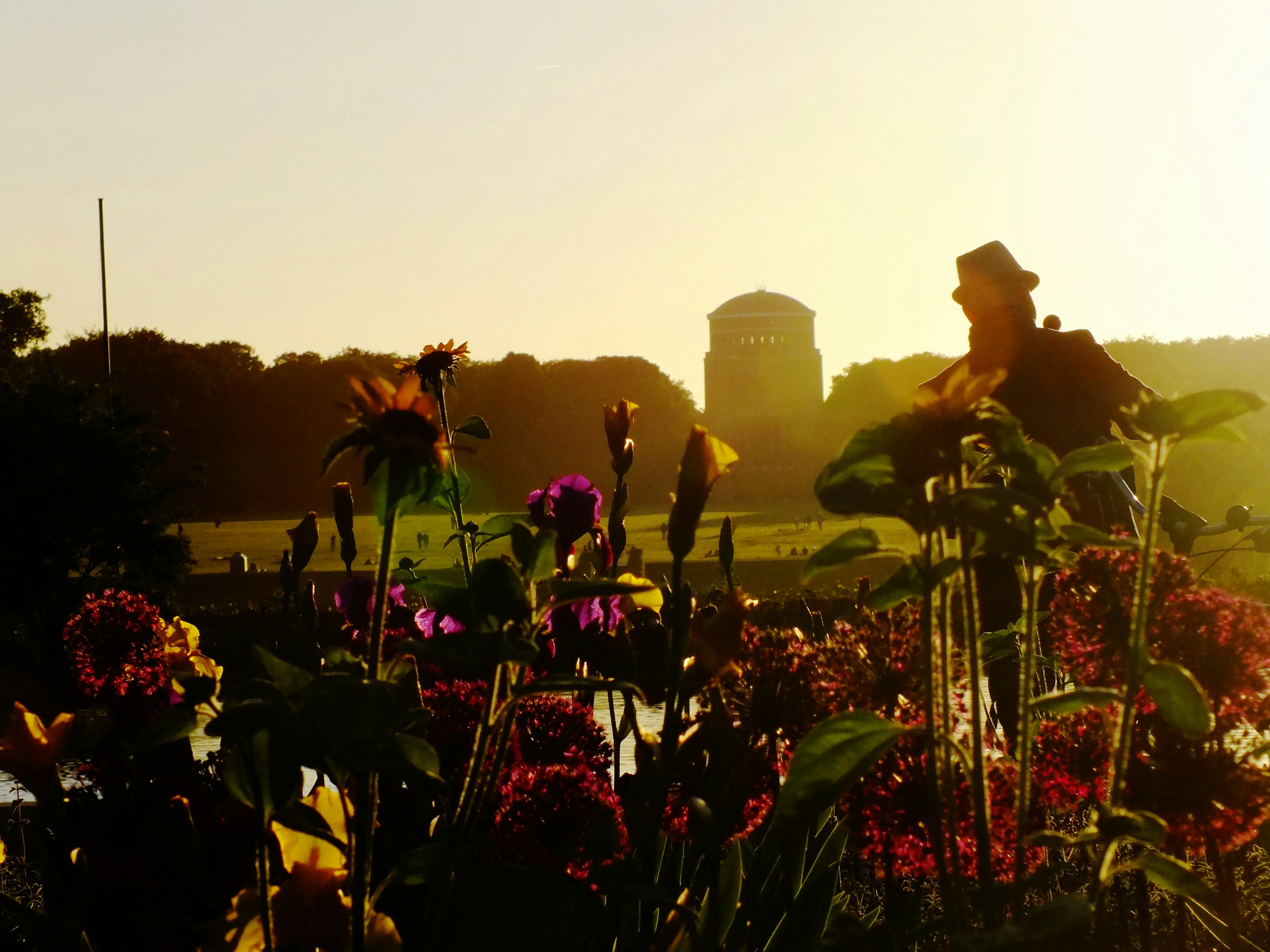 Silhouetted figure amidst vibrant flowers at sunset, highlighting the interplay of light and nature's colors.