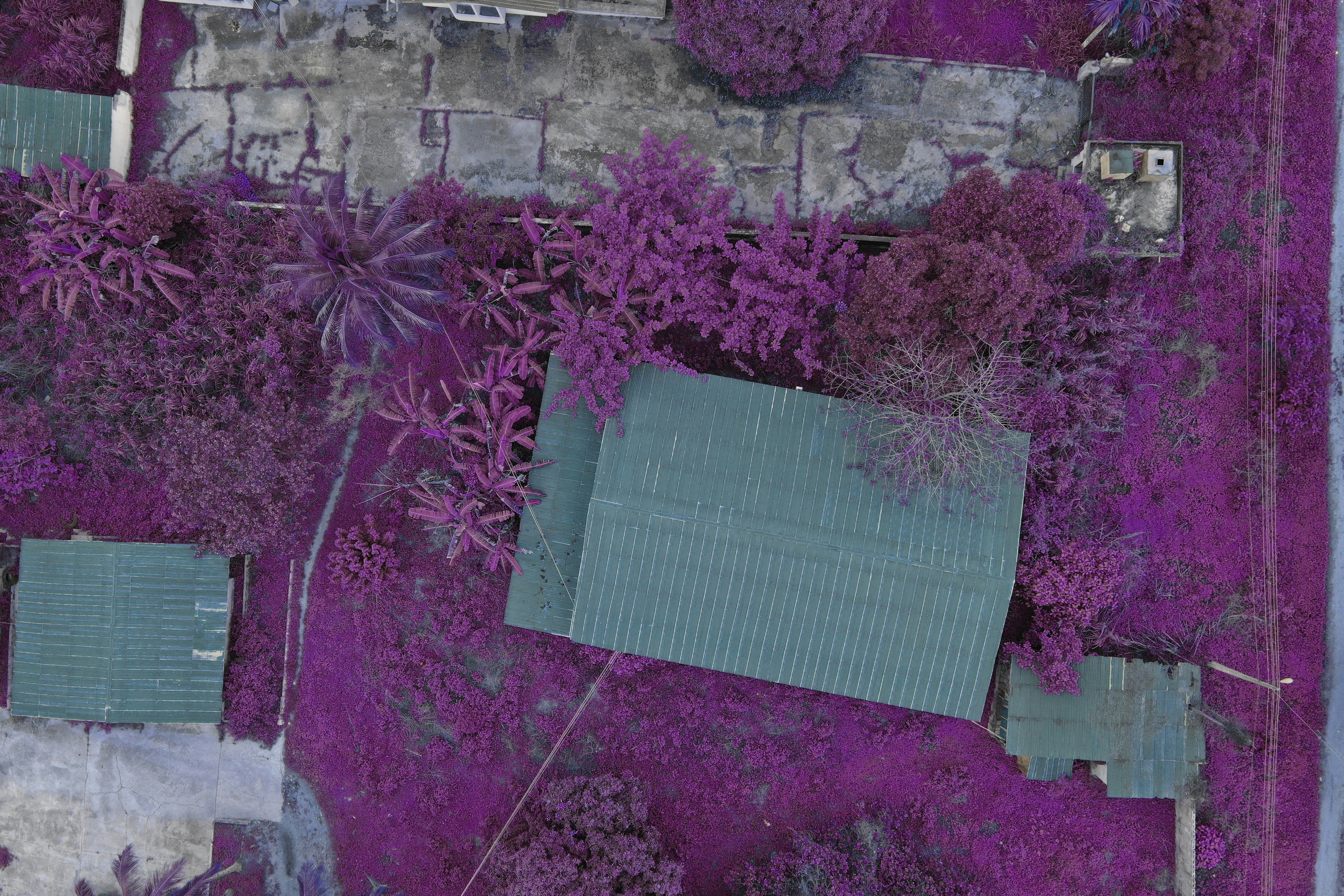 Purple Dawn Over a Compact Rural Compound