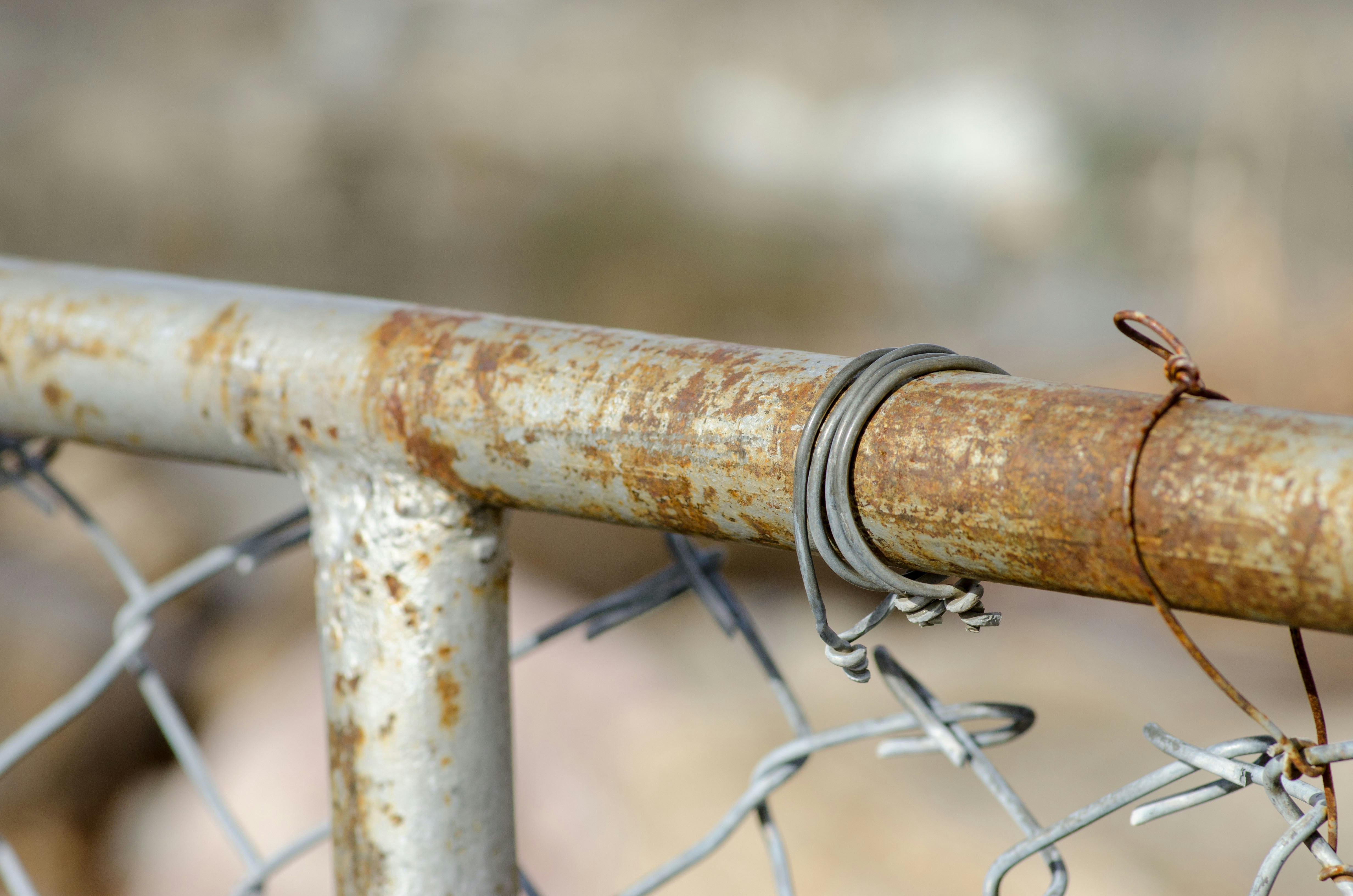 Alan Hardman (@alanaktion) | Unsplash Photo Community