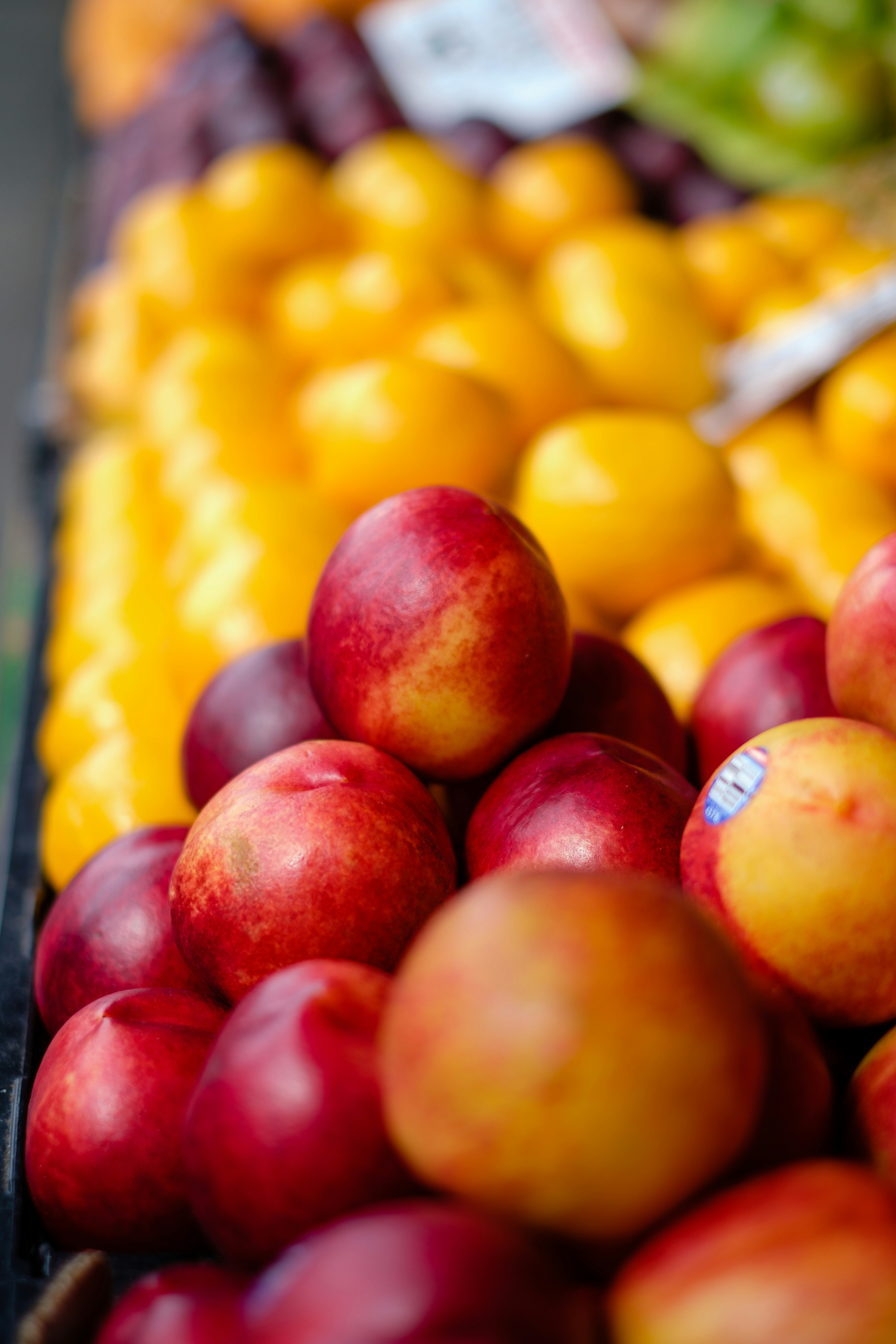 Vibrant display of red and yellow apples arranged in a market setting, showcasing their rich colors and textures.