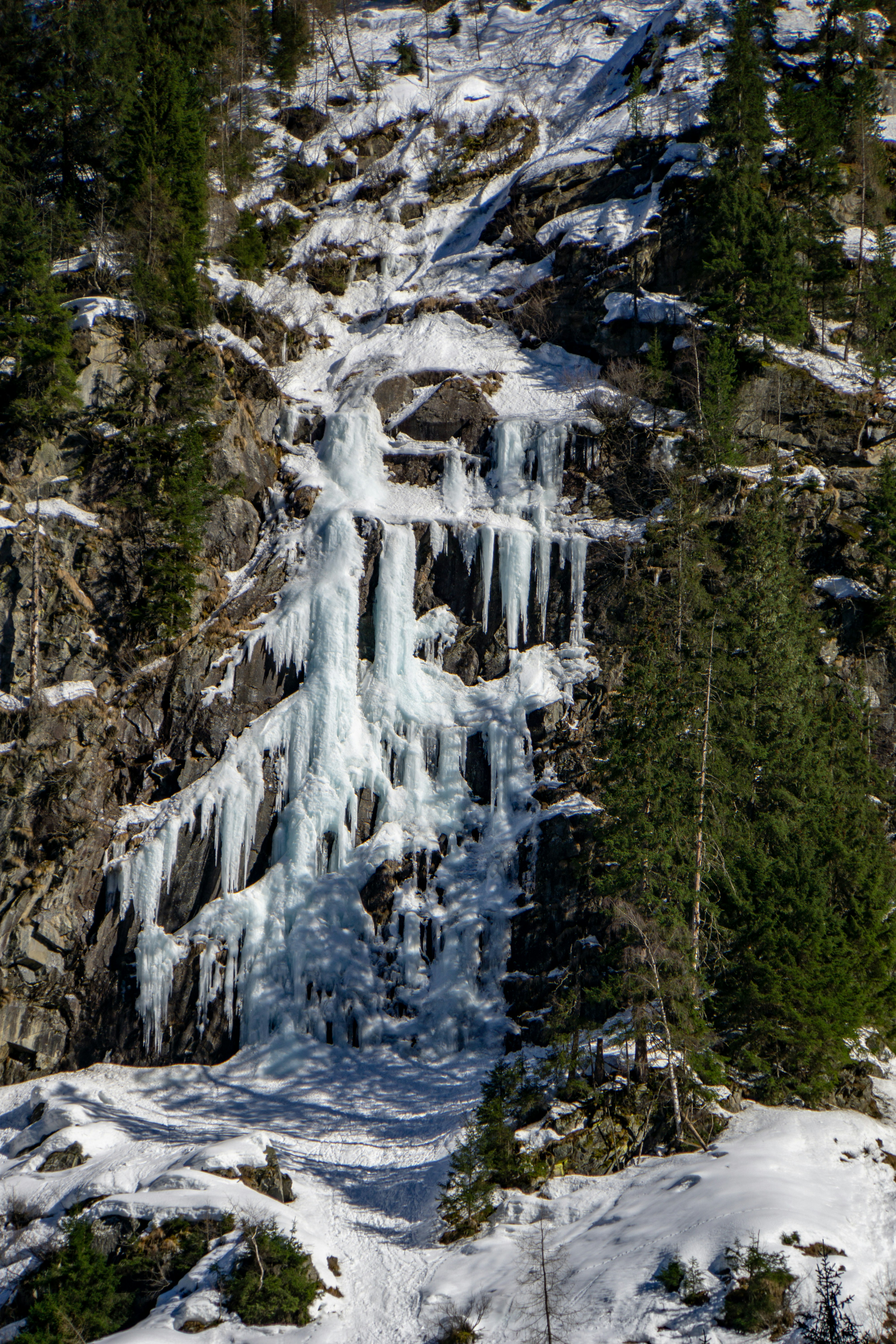 Icicles cascading down a rocky cliff, surrounded by snow-covered trees and a winter landscape.