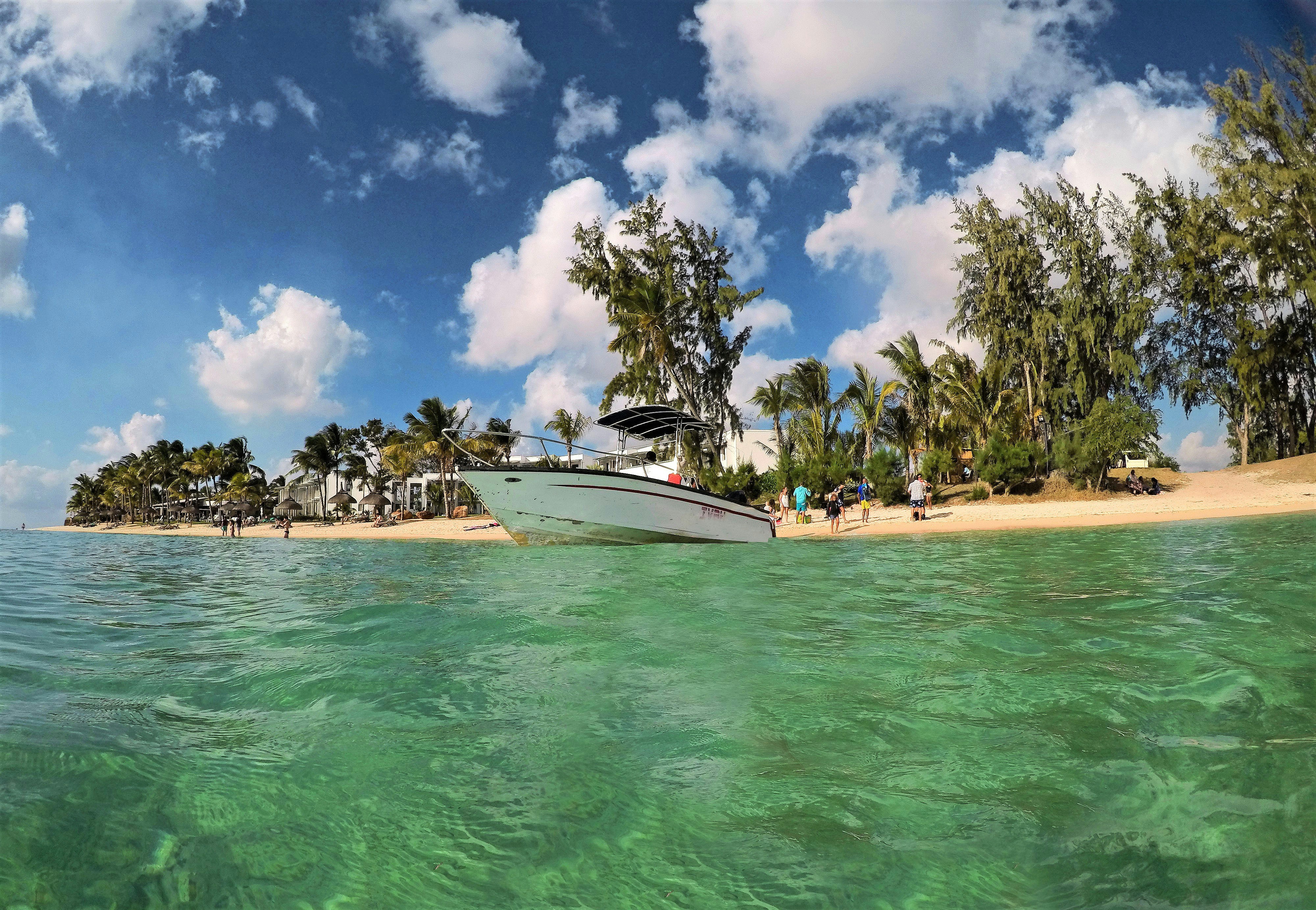 A sleek boat anchored near a sandy beach lined with palm trees, showcasing a vibrant tropical setting under a bright blue sky.