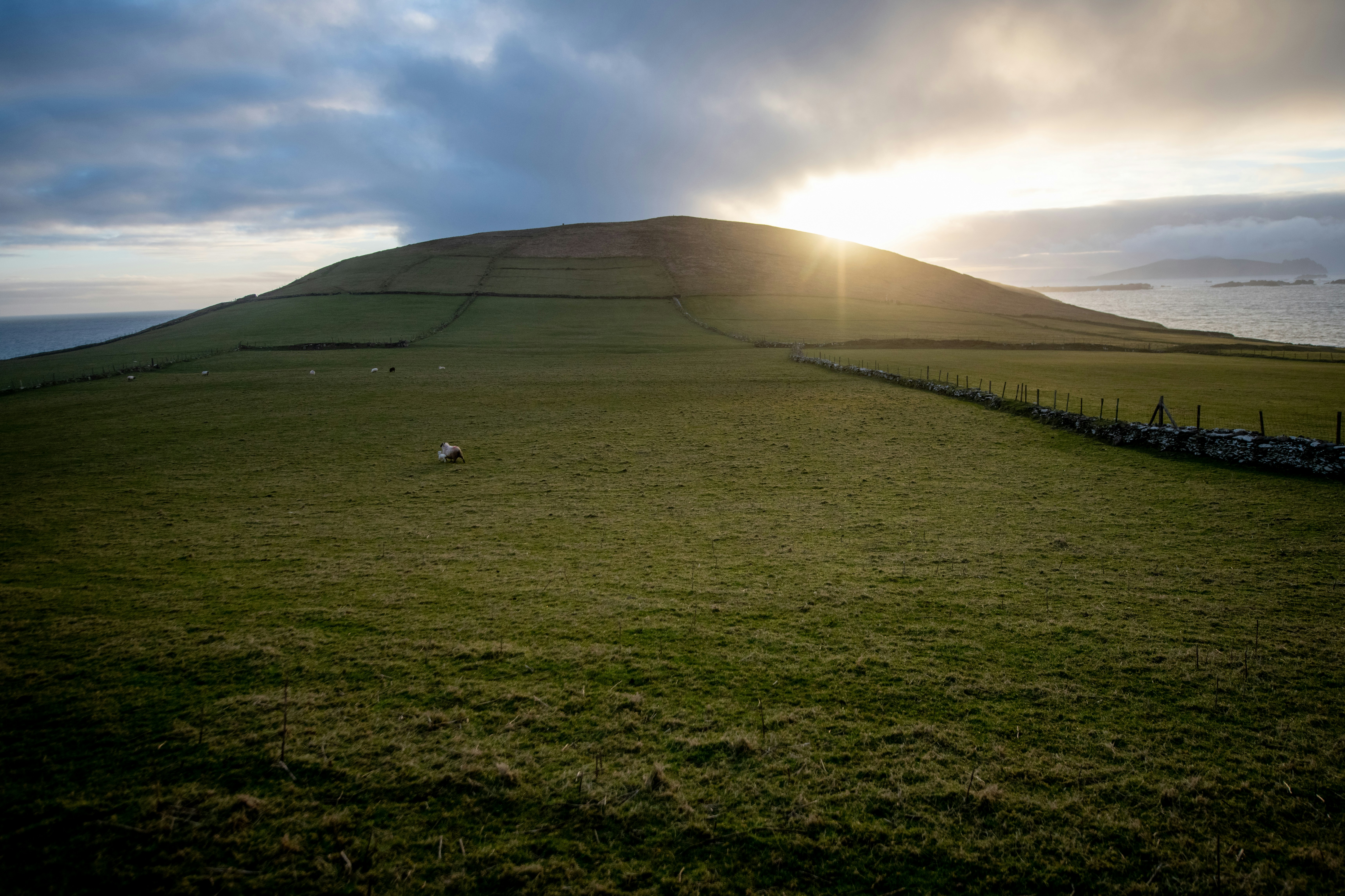 Green grass field hill photo – Free Green Image on Unsplash