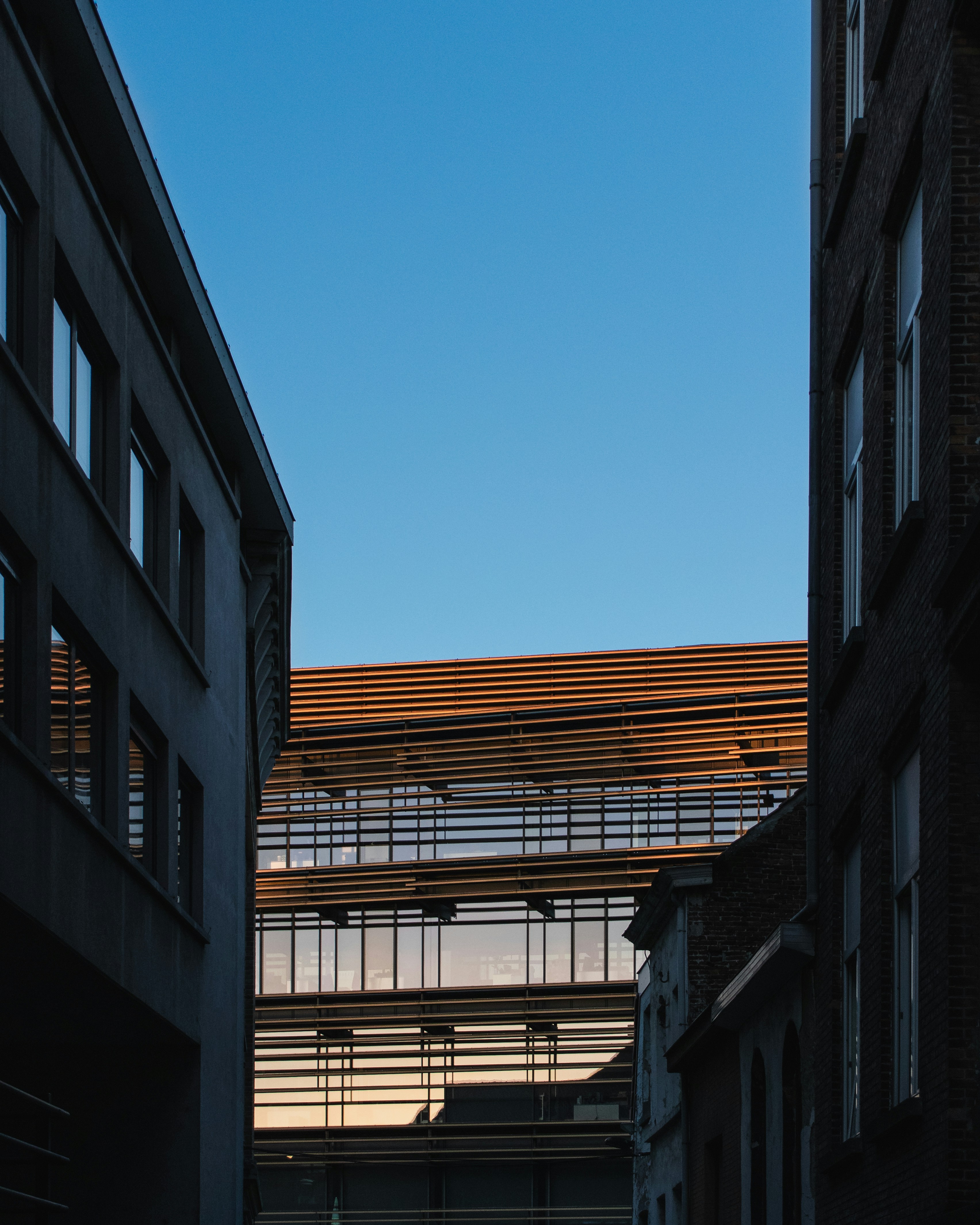 Sun Window Pictures | Download Free Images on Unsplash