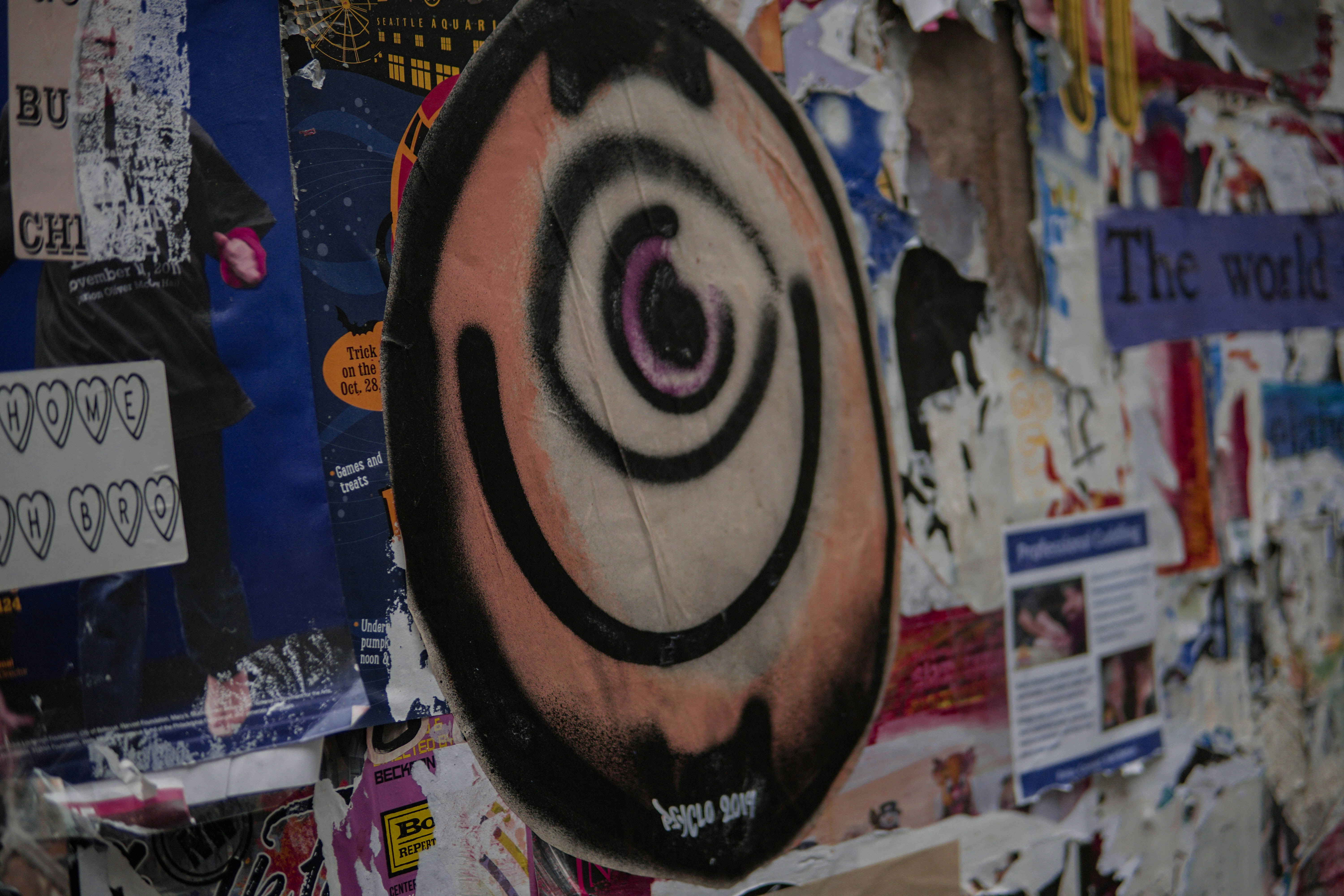 assorted-papers on wall