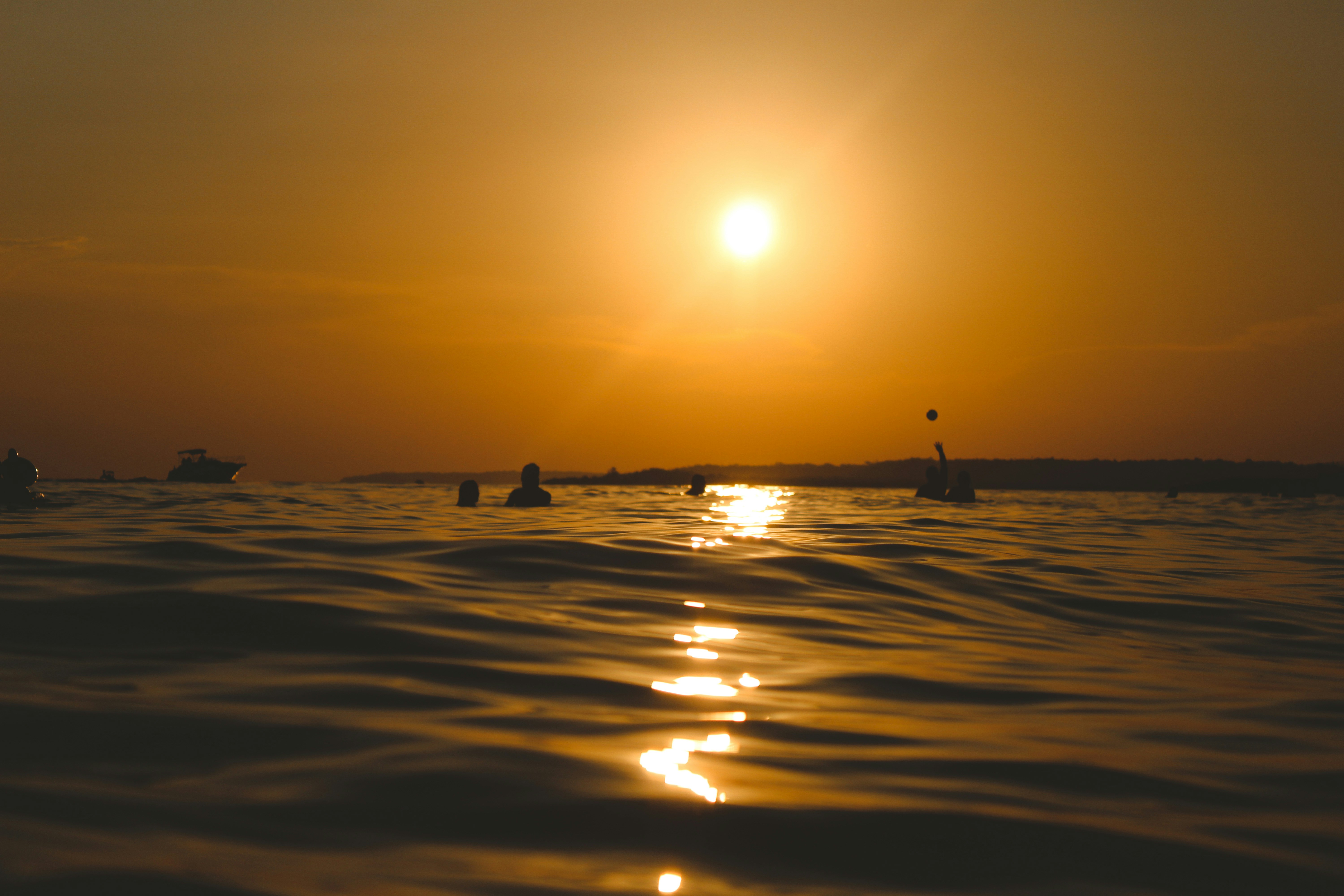 Silhouetted figures swim in a sunlit body of water beneath a warm, golden sky.