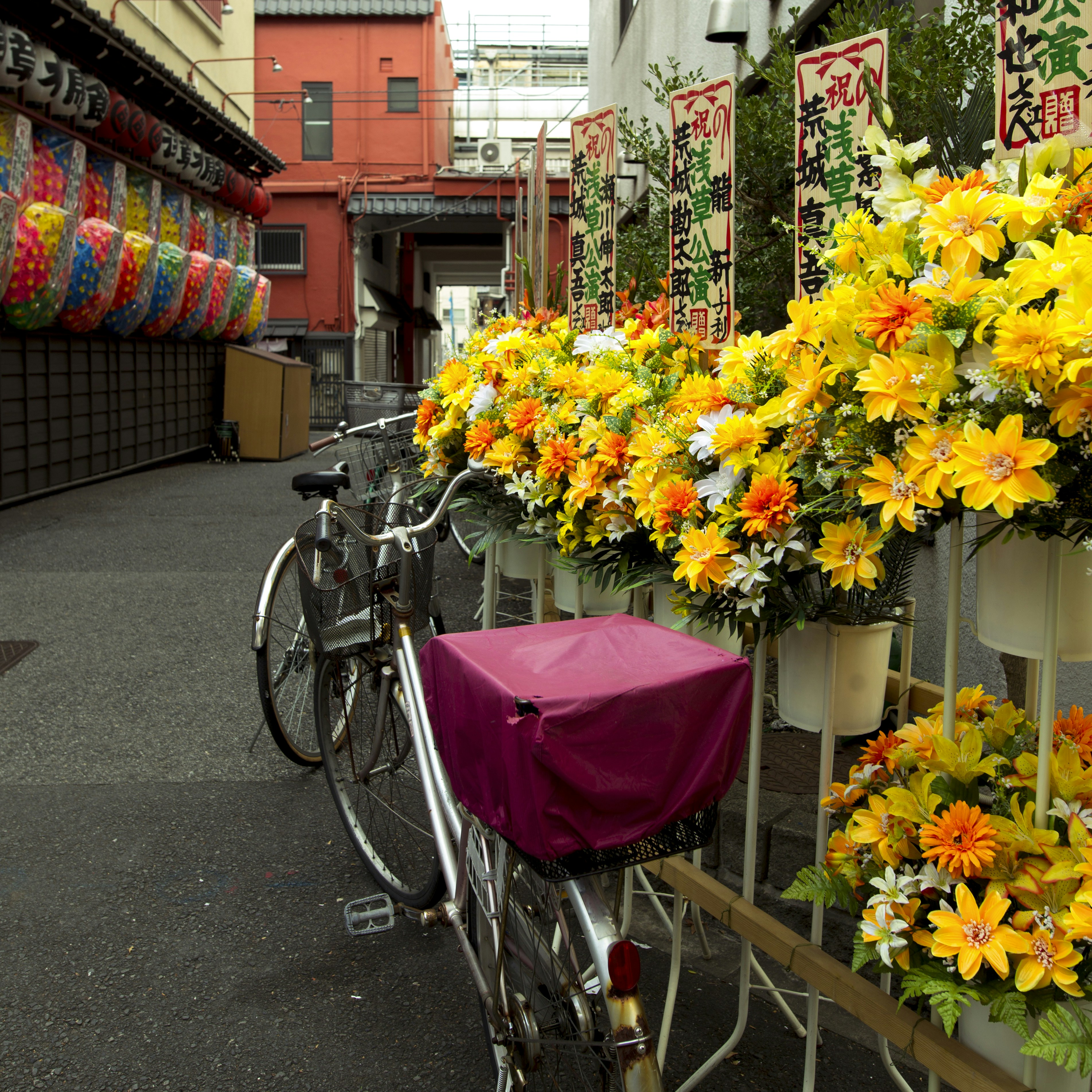 Taken in Japan in 2018 while explore the many alleys of Tokyo.