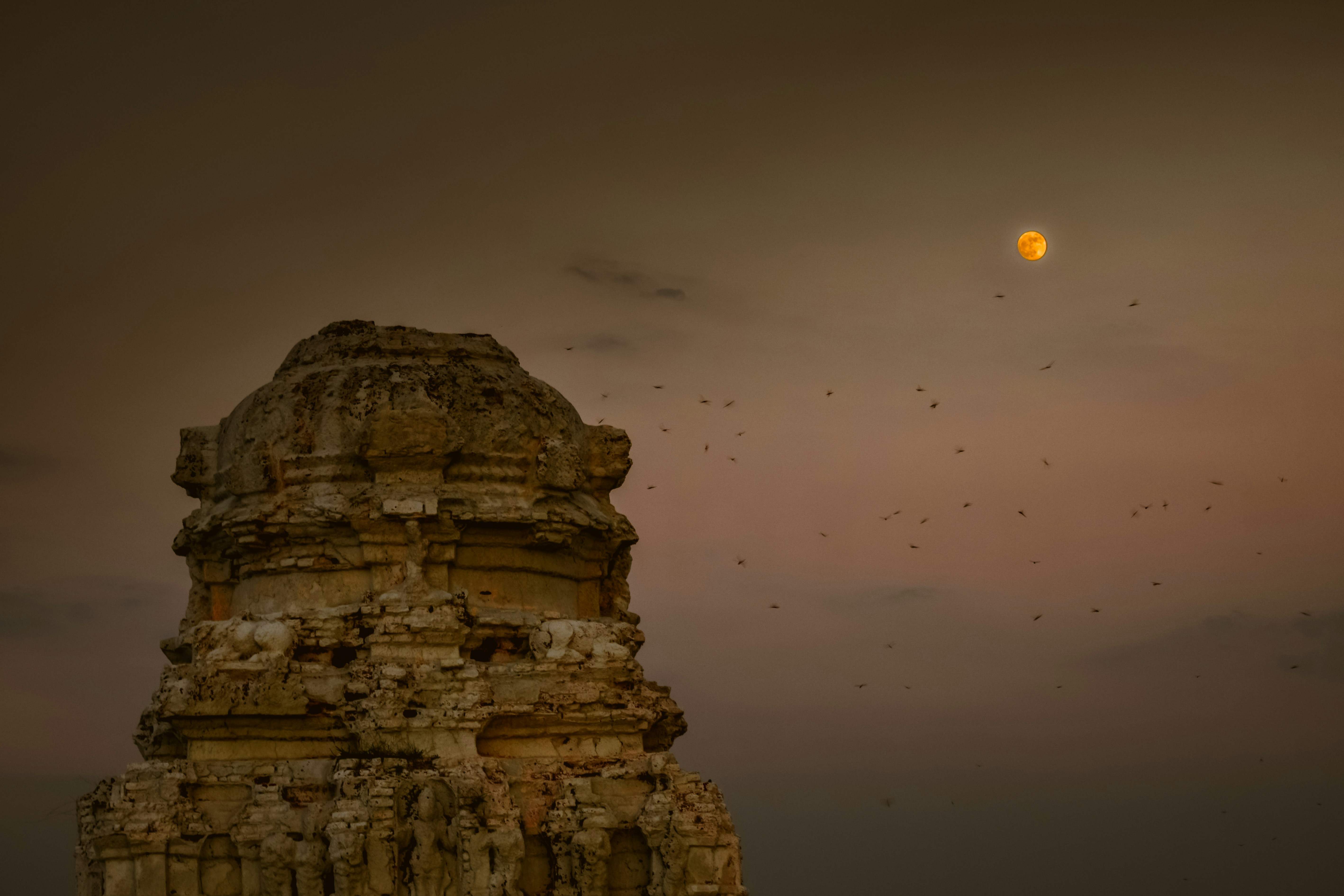 Moonlit Monument under a Swarm of Evening Birds