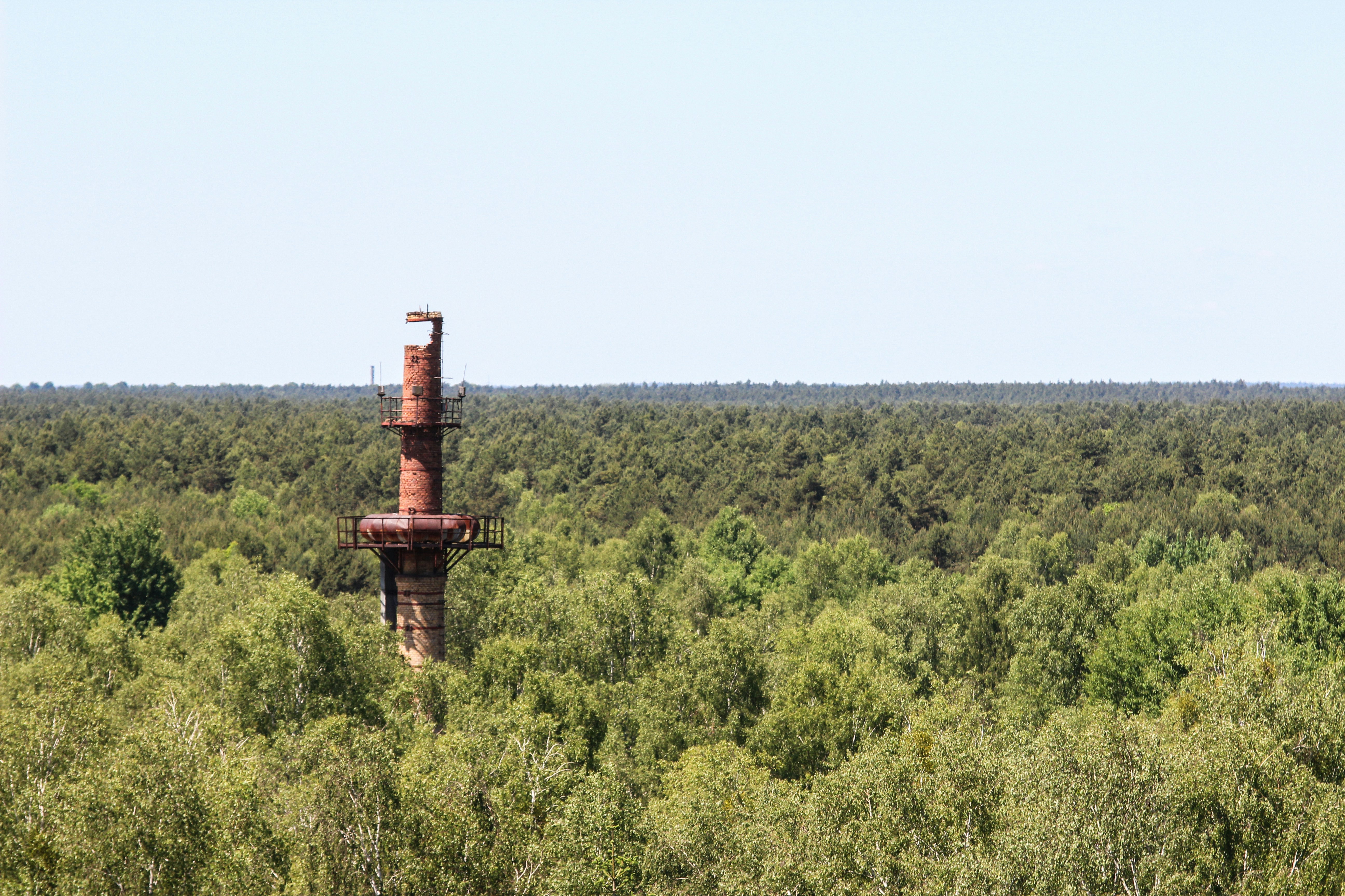Rusty industrial tower rises above a dense forest, symbolizing the intersection of nature and human endeavor.