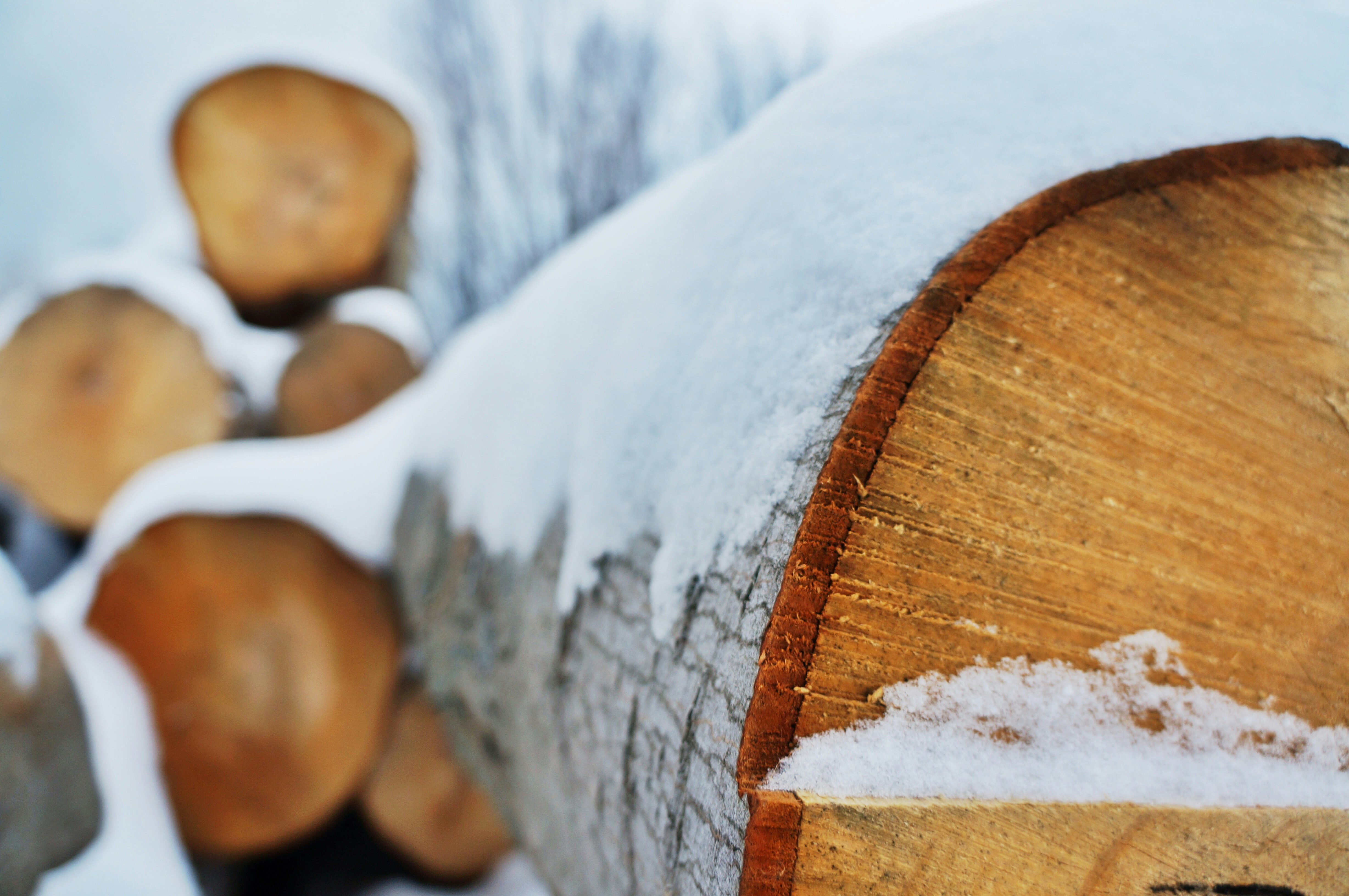Snow photo shot on Sony NEX-5R