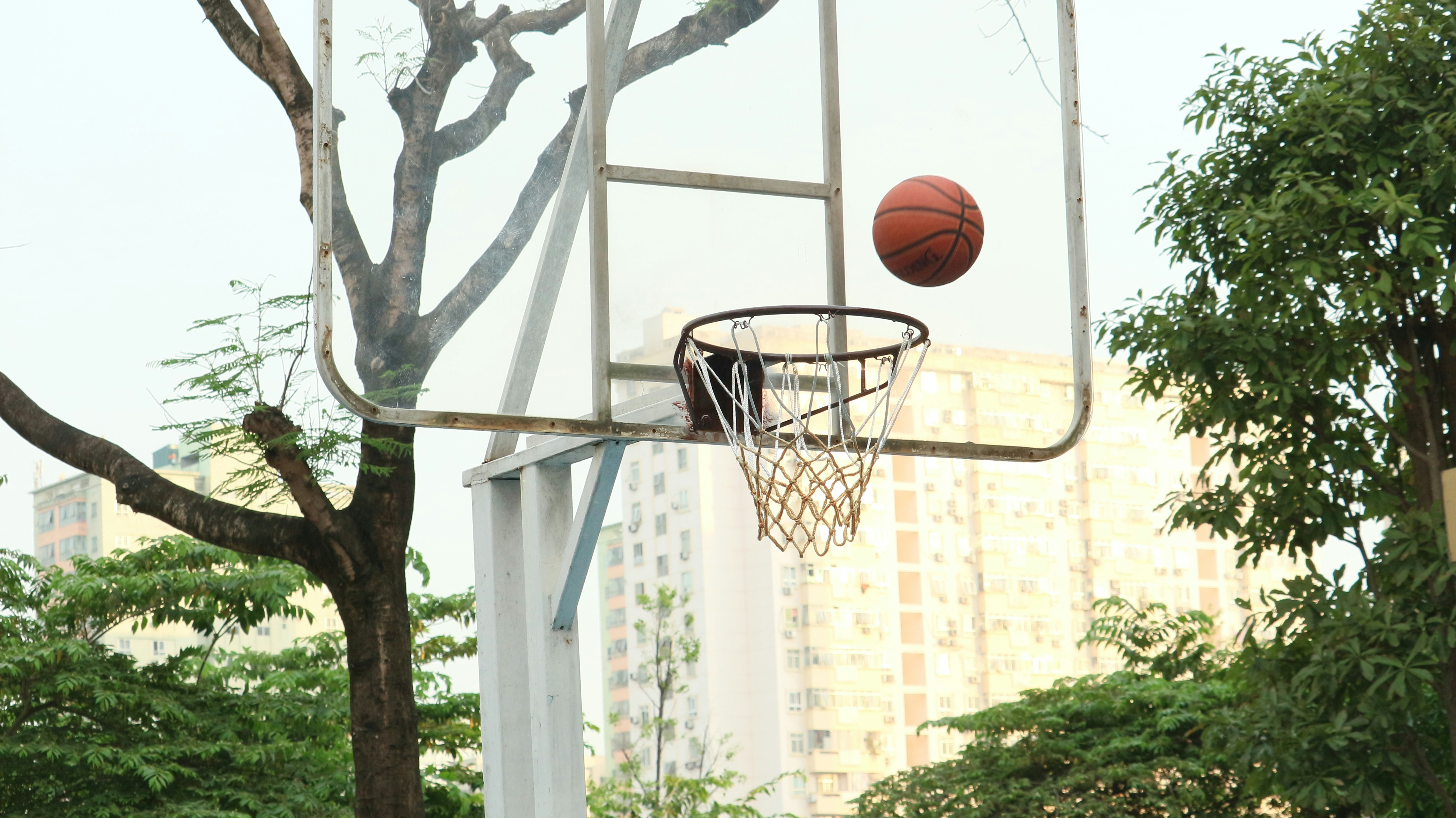 A basketball gracefully descends towards the hoop, captured in mid-air against a backdrop of urban greenery and buildings.