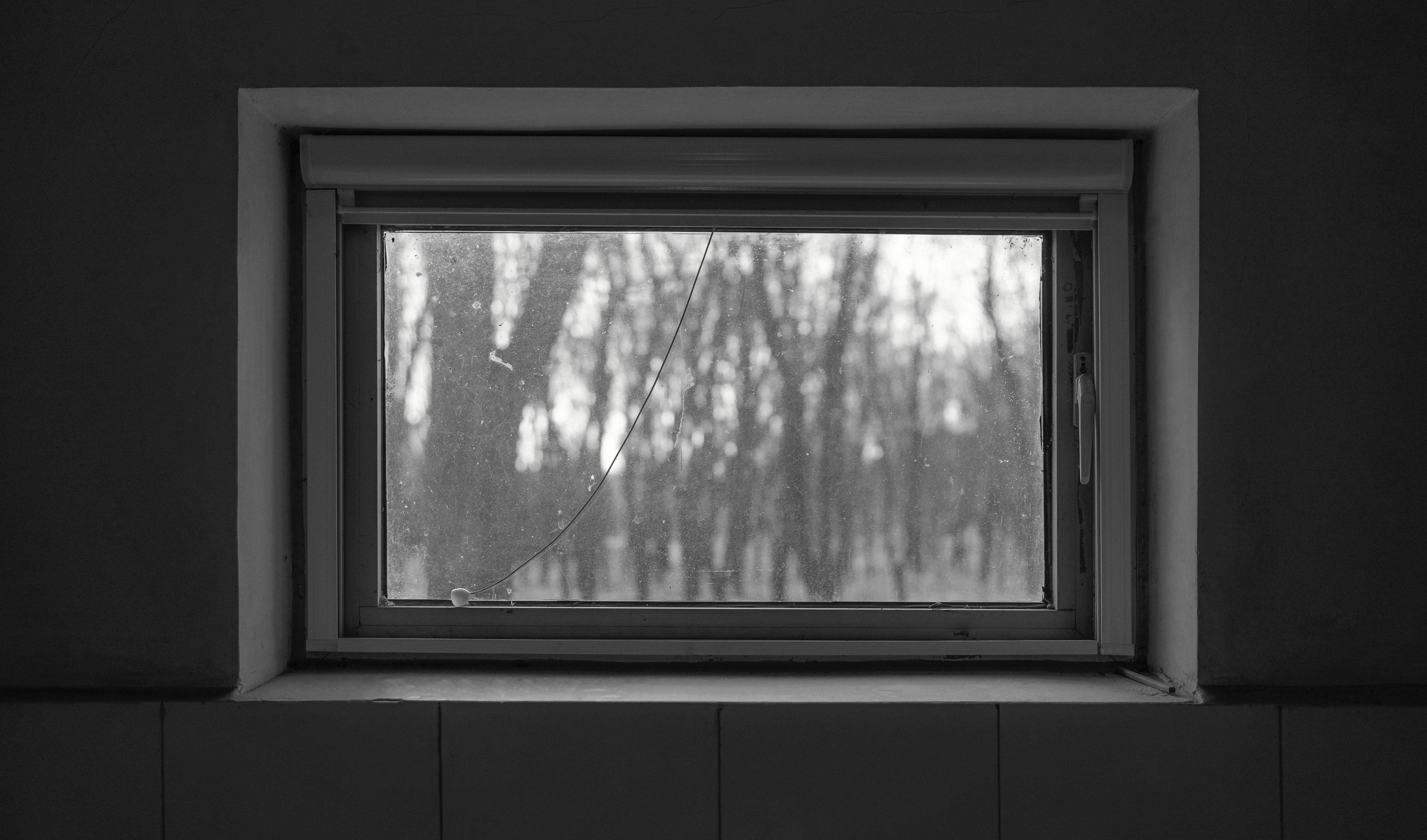 A cracked window frame reveals a blurred view of a forest shrouded in mist, evoking a sense of isolation and reflection.