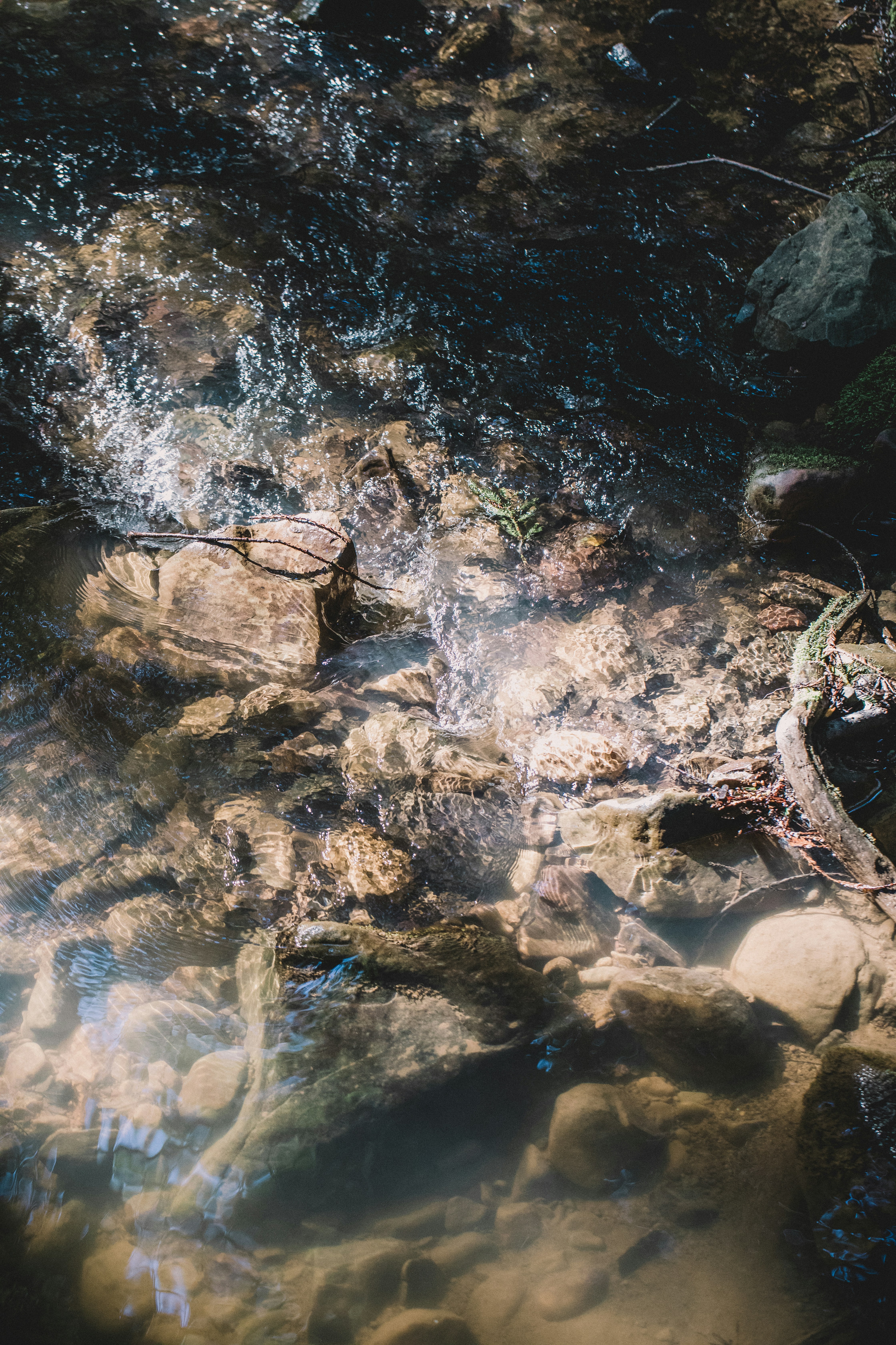 Brown rocks under water photo – Free Rock Image on Unsplash