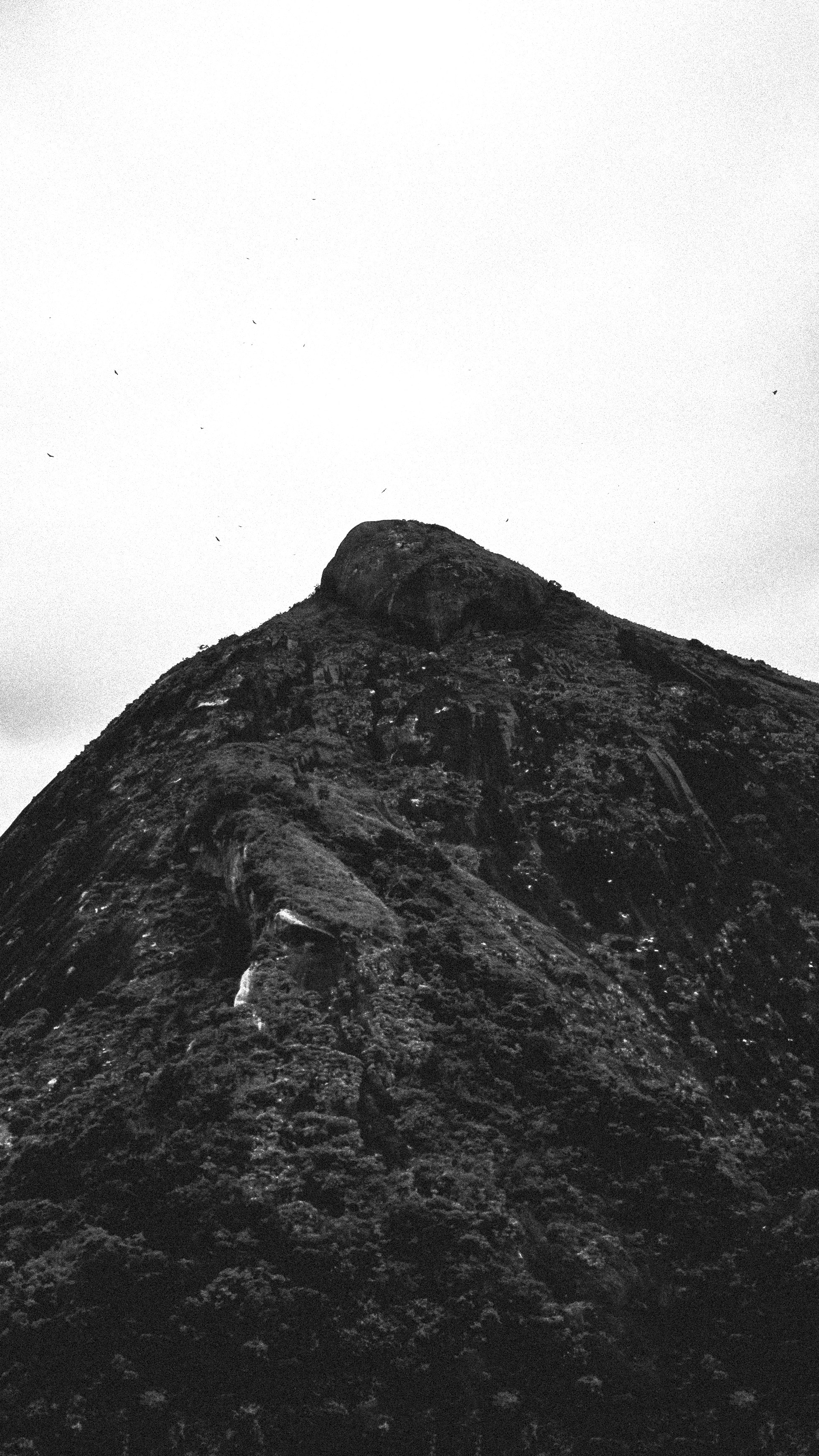 grayscale photography of mountain