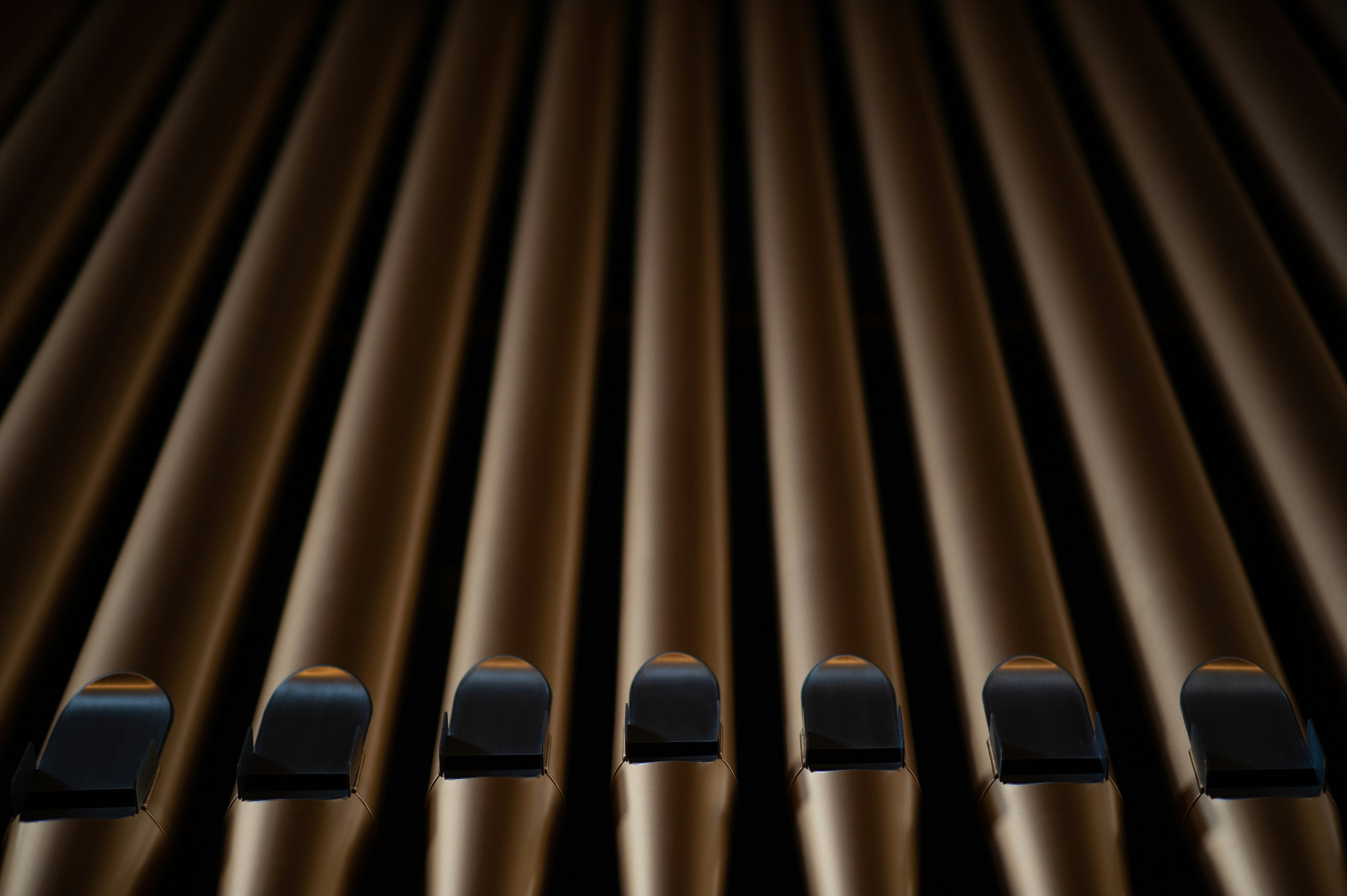 A row of black and brown pipes in a room photo – Free Church Image on ...