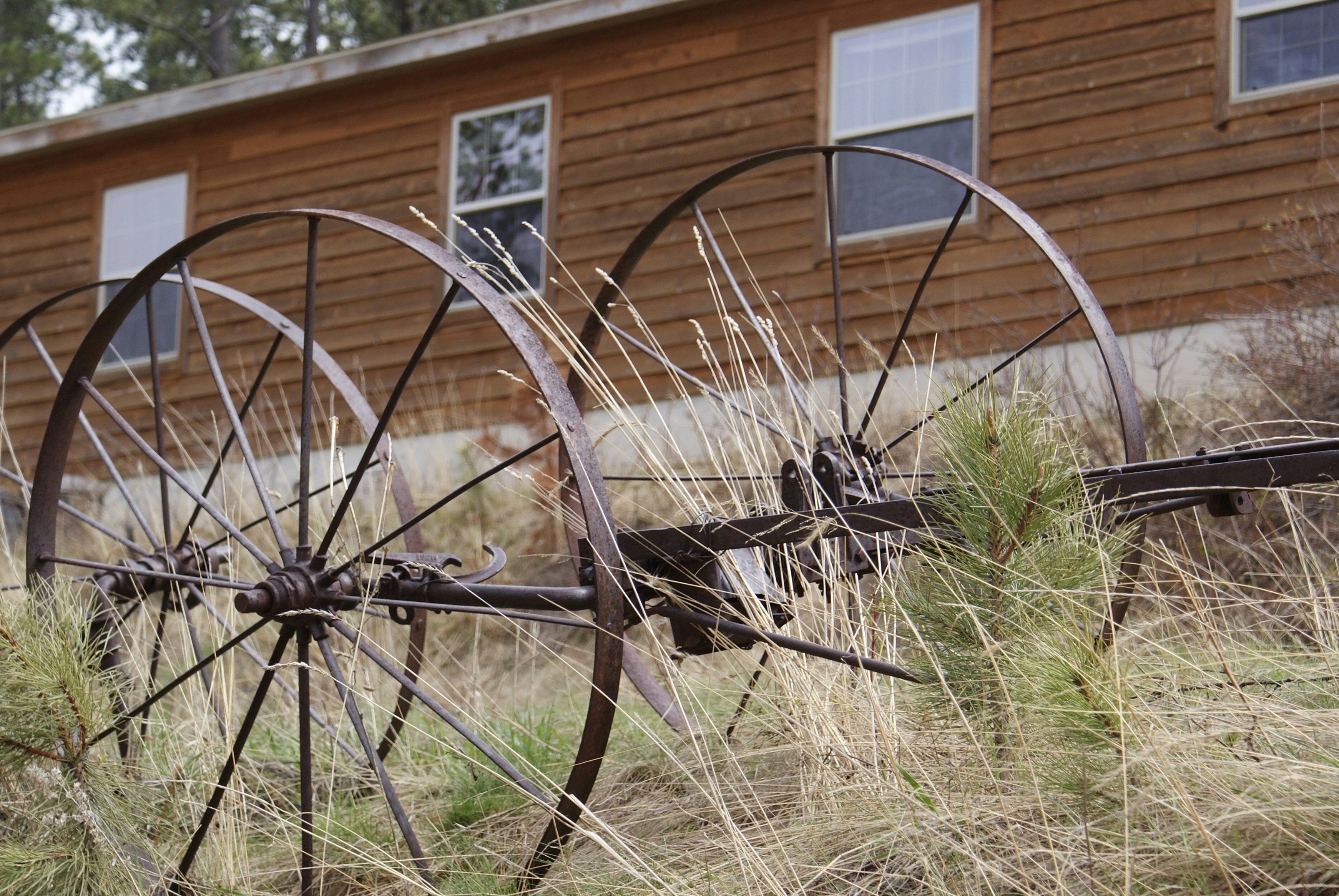 Rusty wagon wheels partially obscured by tall grass, set against a rustic wooden building. The scene evokes a sense of nostalgia and history.
