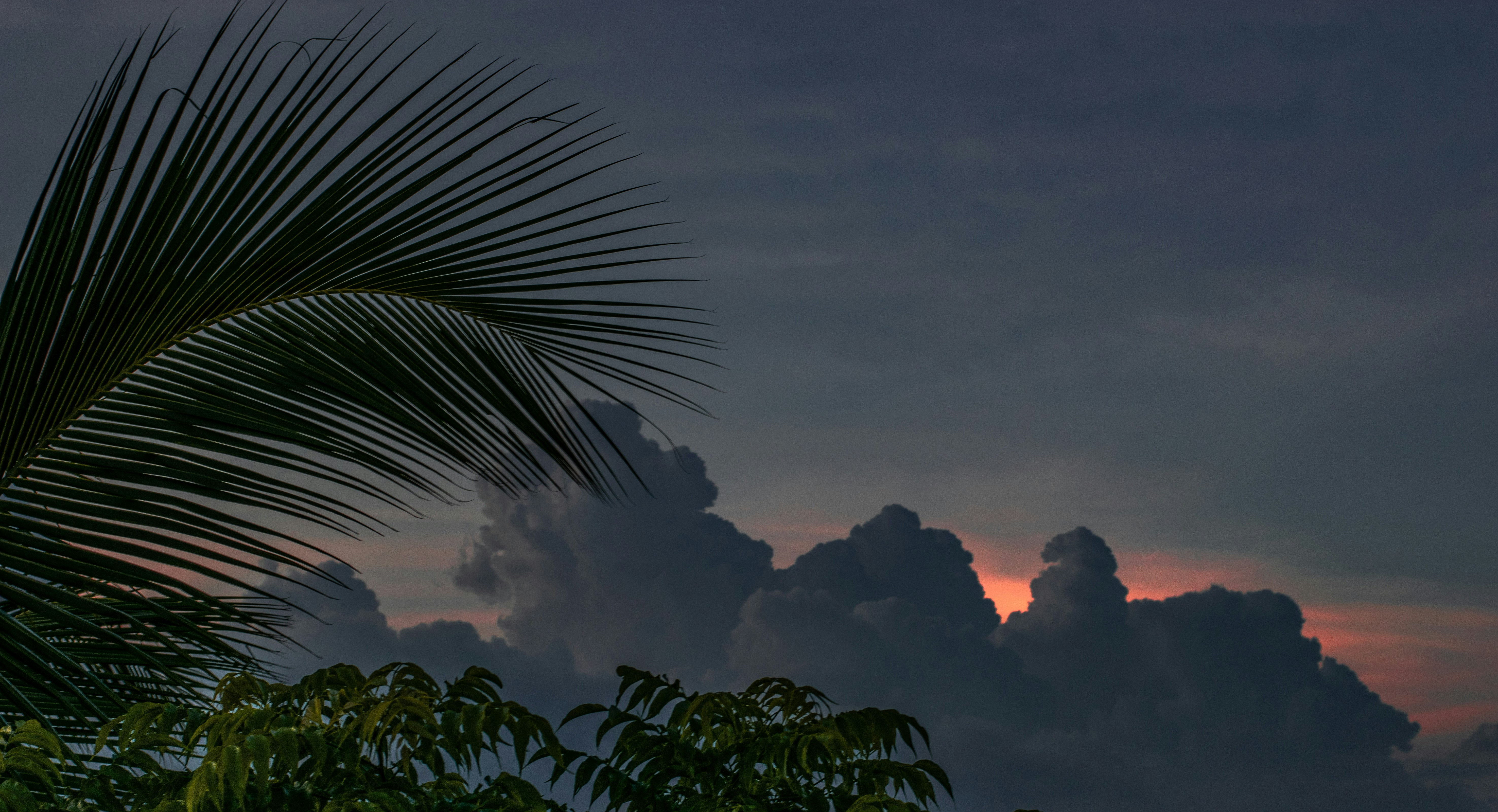 Silhouetted palm fronds frame a dramatic sky filled with dark clouds and hints of twilight. The scene evokes a serene yet mysterious atmosphere.