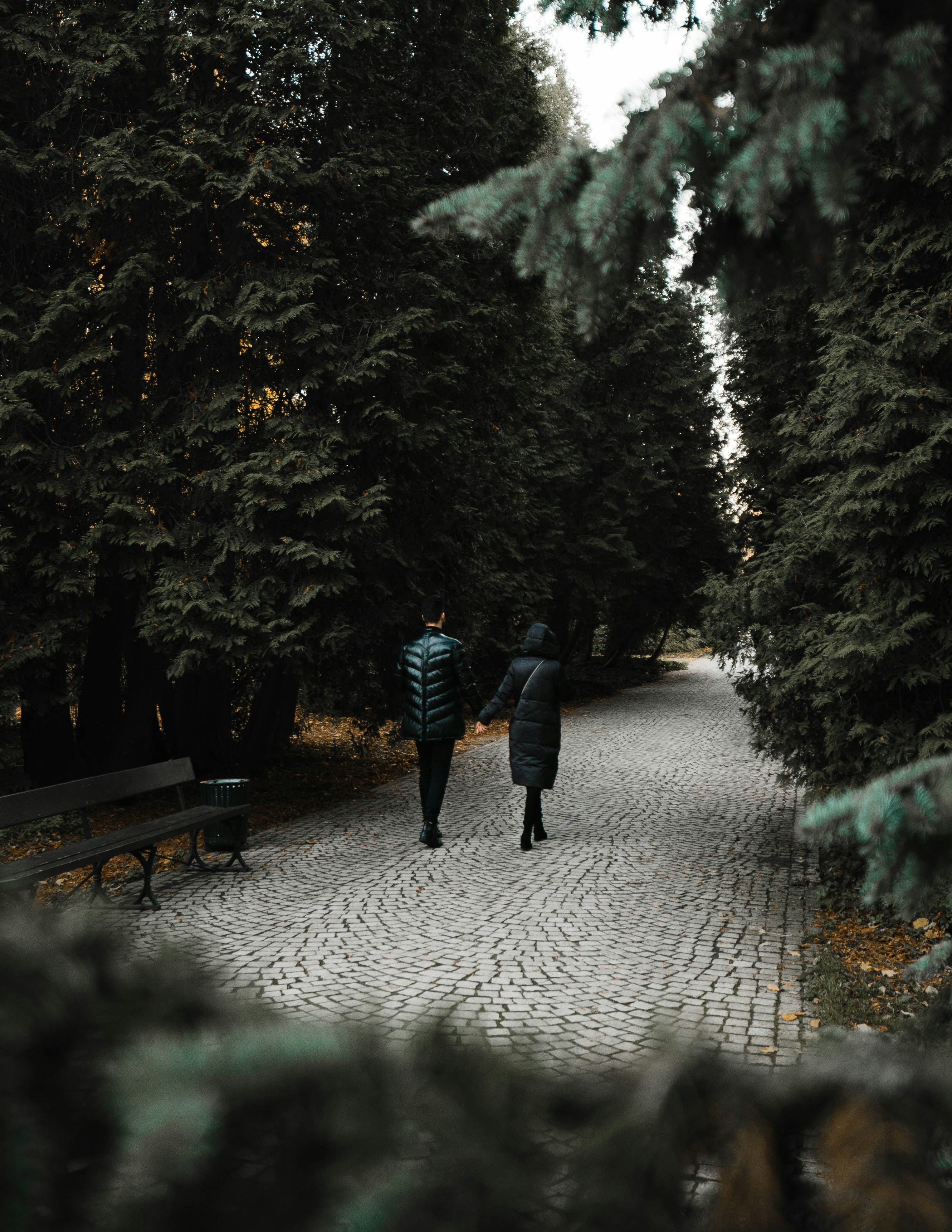 Two person walking on brick pavement in between trees during daytime ...