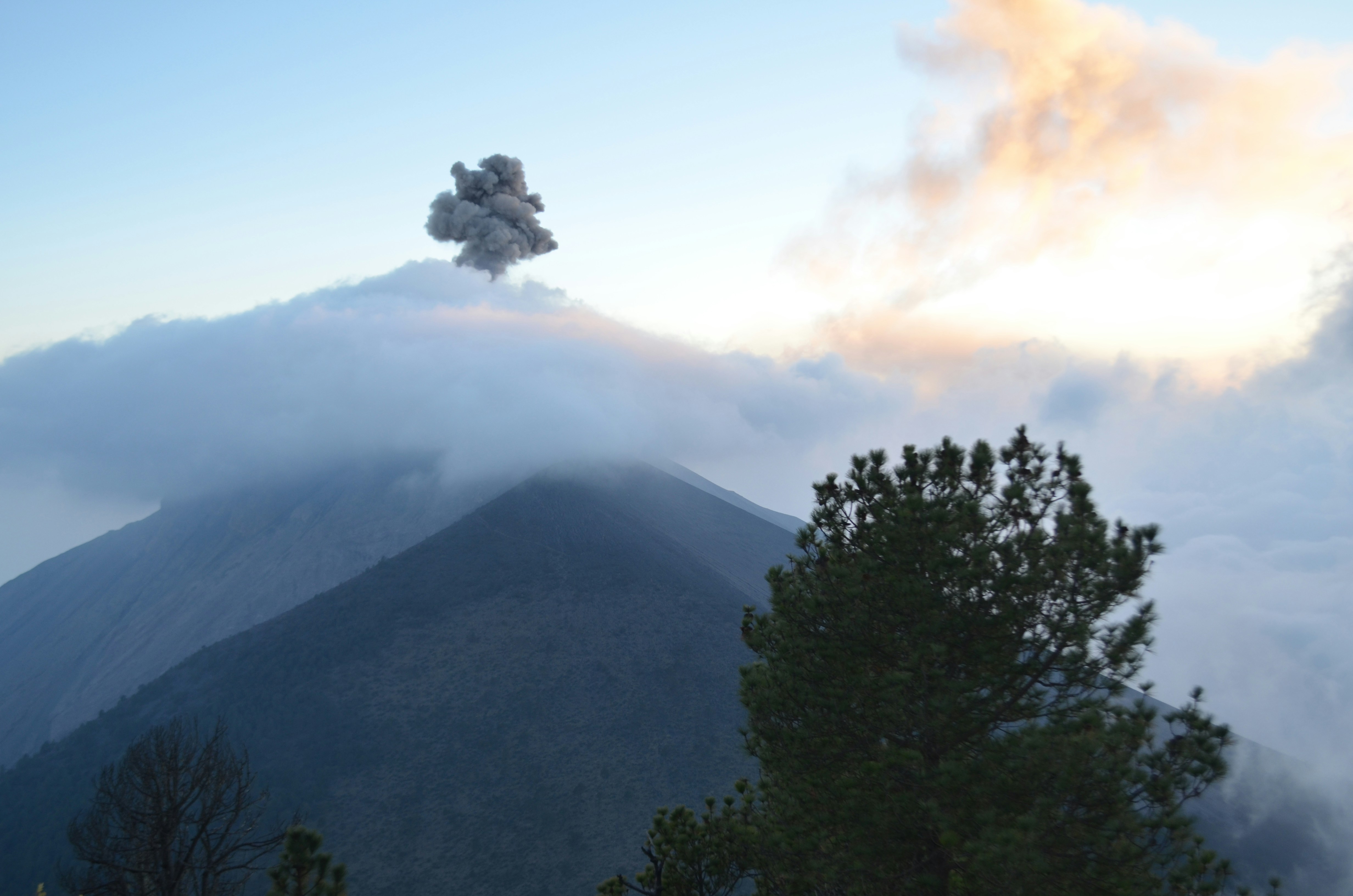Árbol verde con vista al volcán foto – Imagen de Montaña gratuita en Unsplash