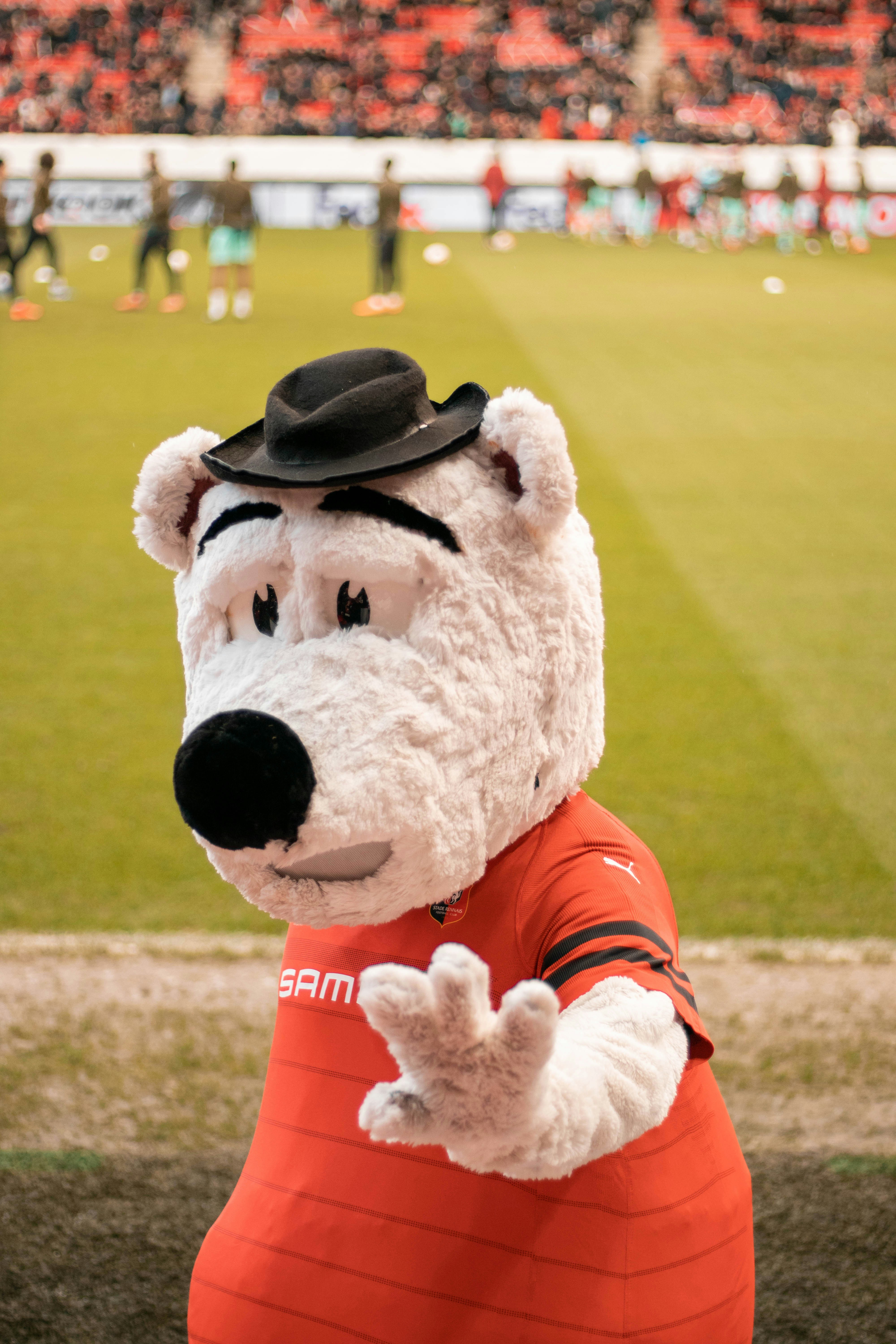 45 628+ photos de mascottes | Télécharger des images gratuites sur Unsplash