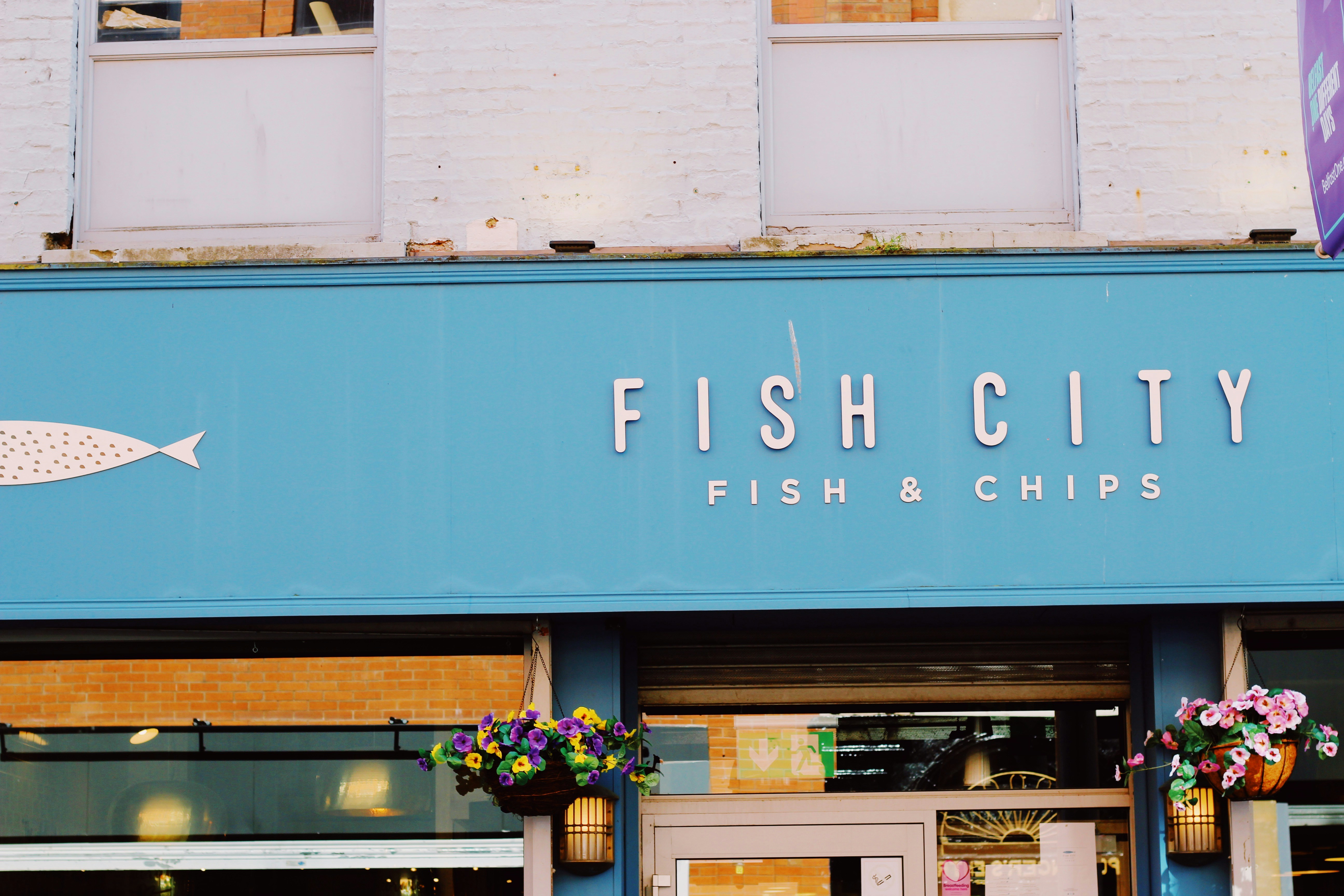 Teal Signage and Floral Welcome at Fish City