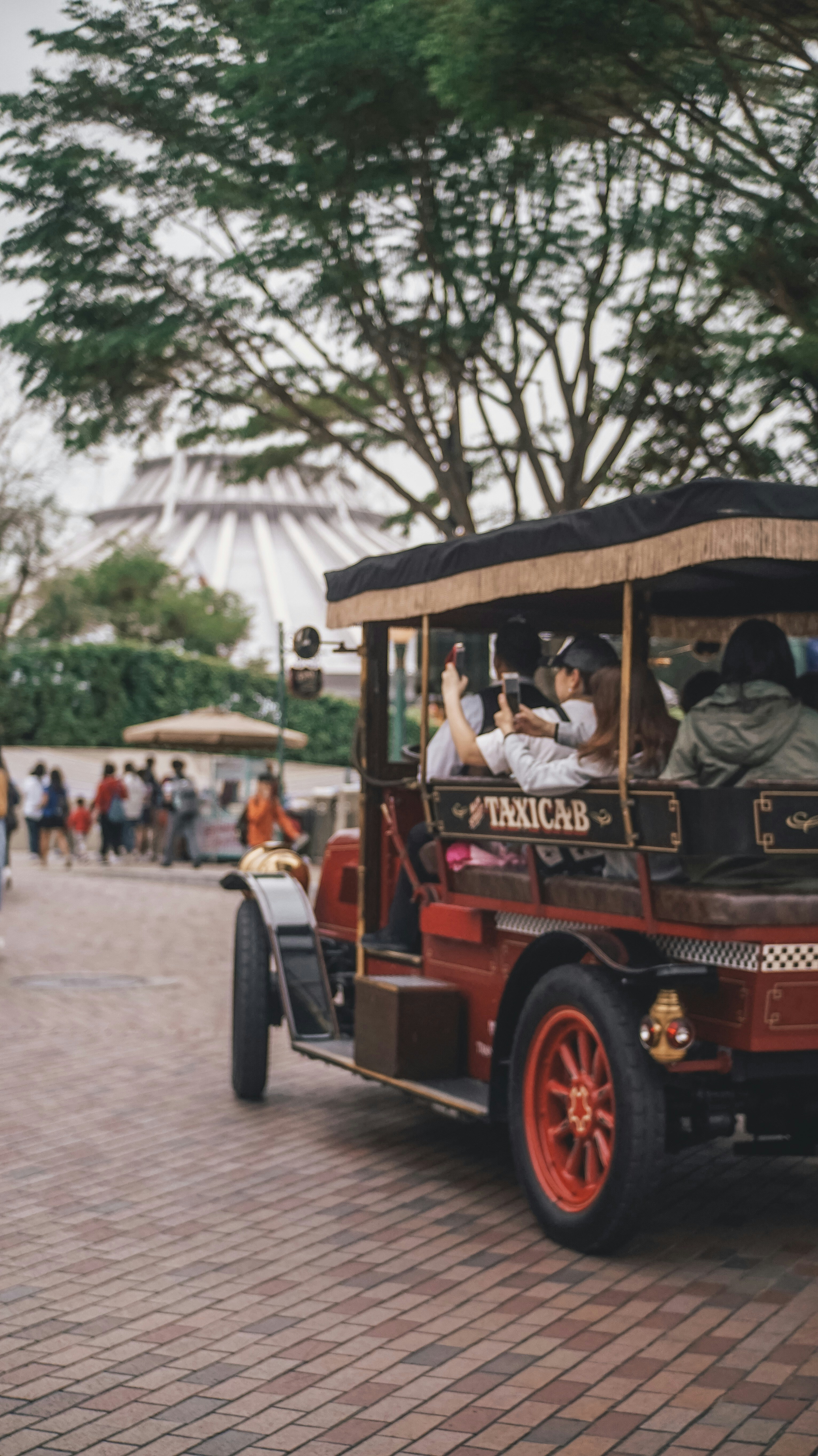 people riding on car