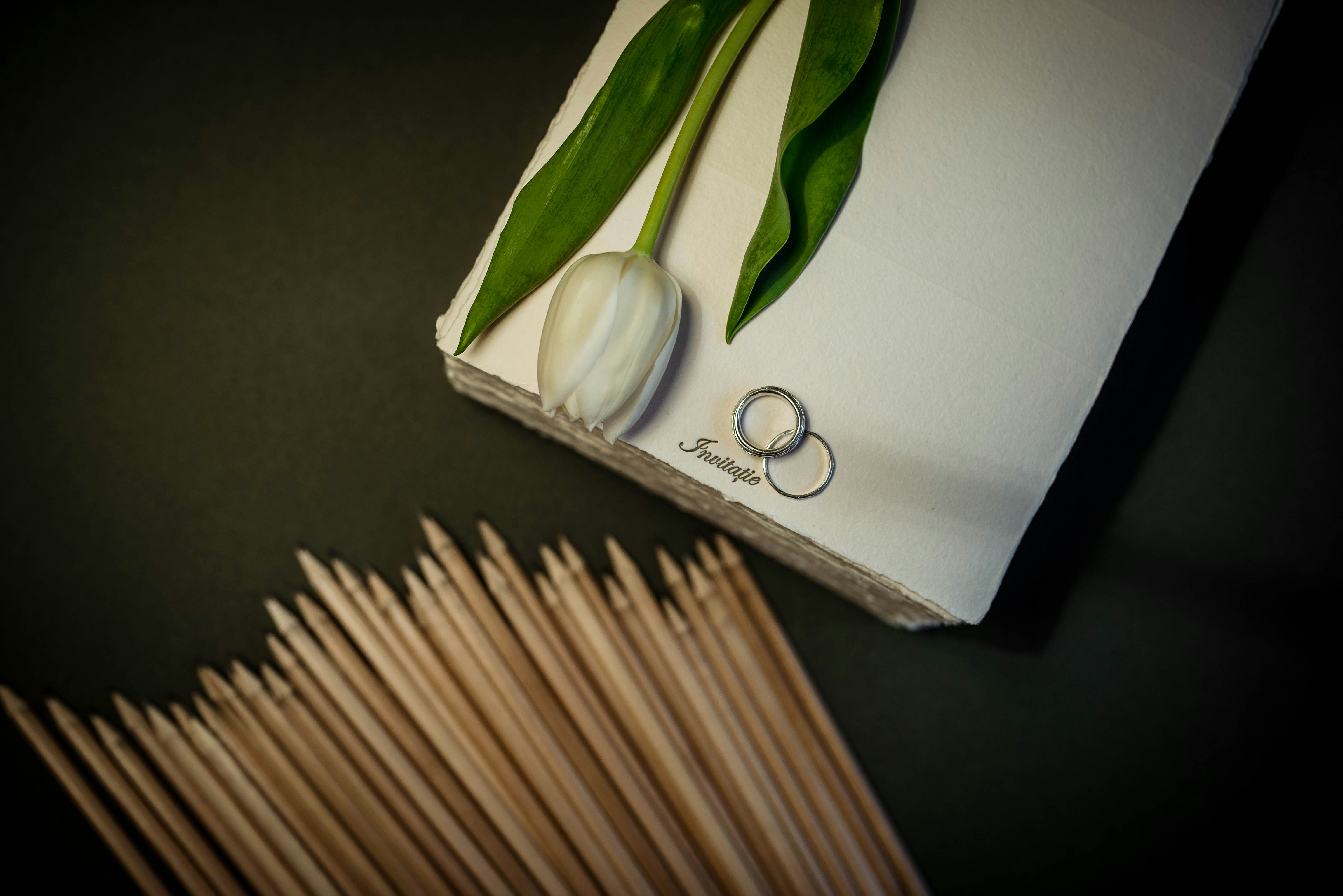 Quiet Elegance: Tulip, Rings, and a Fan of Pencils