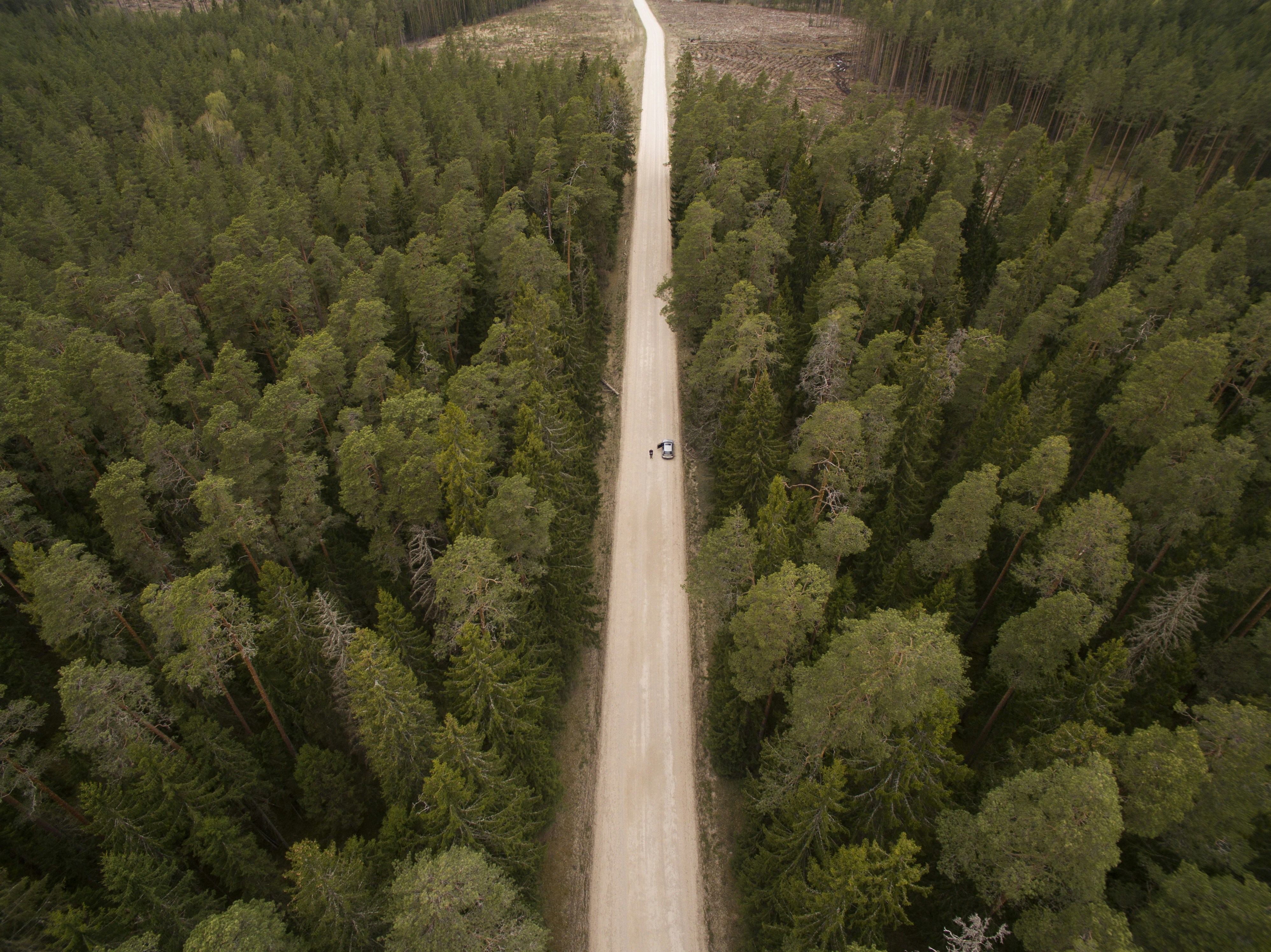Aerial view of a straight dirt road cutting through a dense forest of green trees during the day.