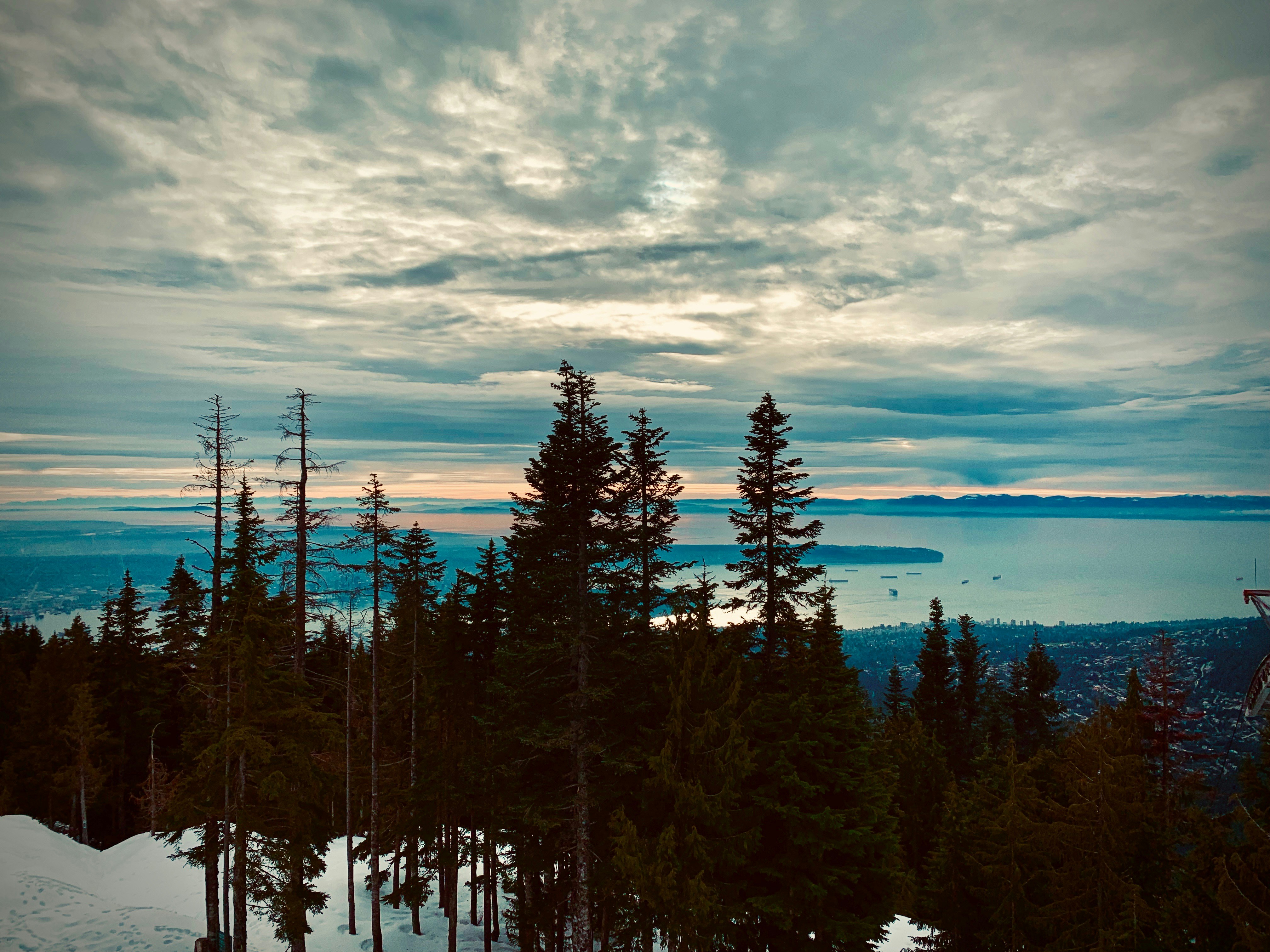 Twilight Overlook from Snowy PinesEean Chen