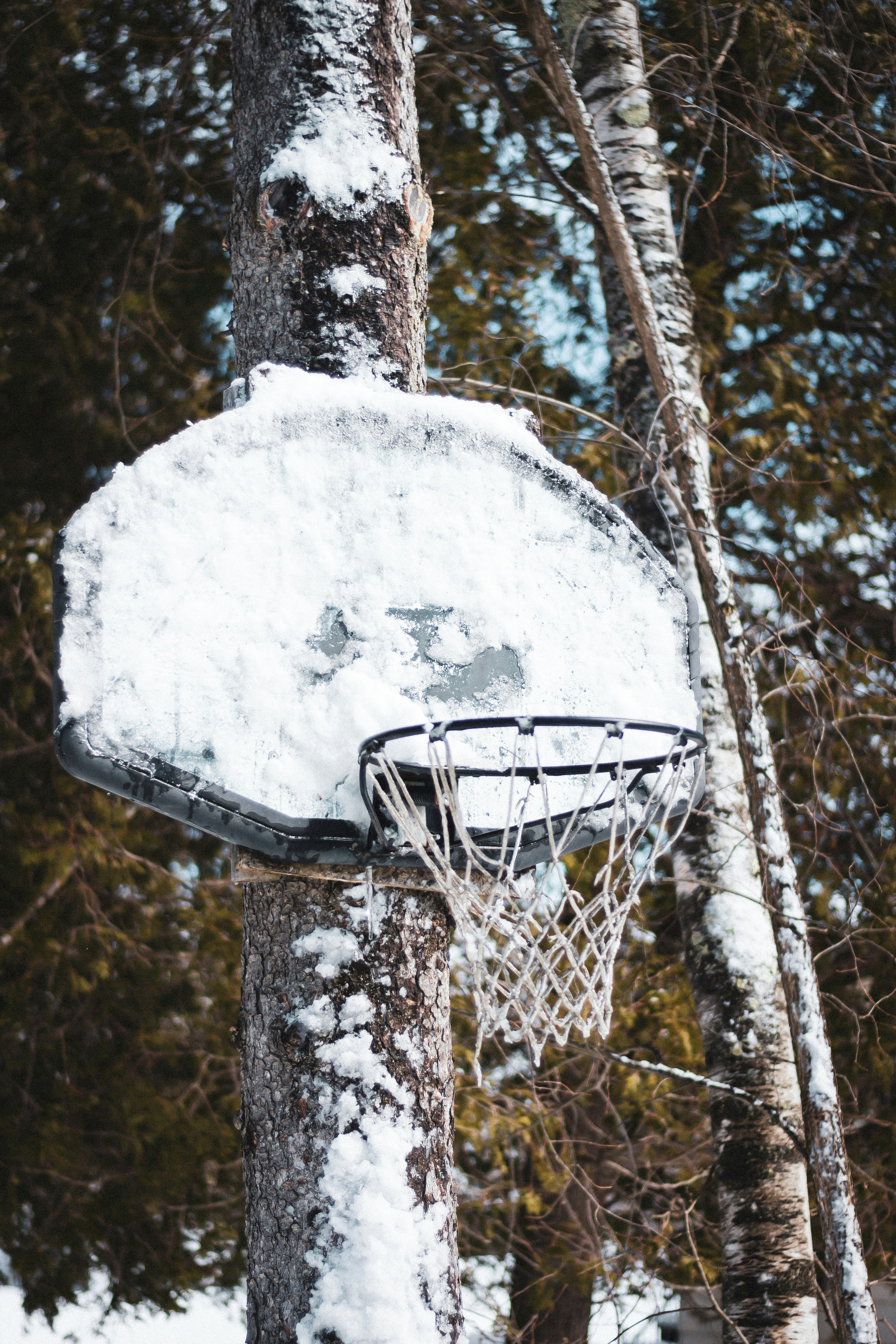 white basketball board