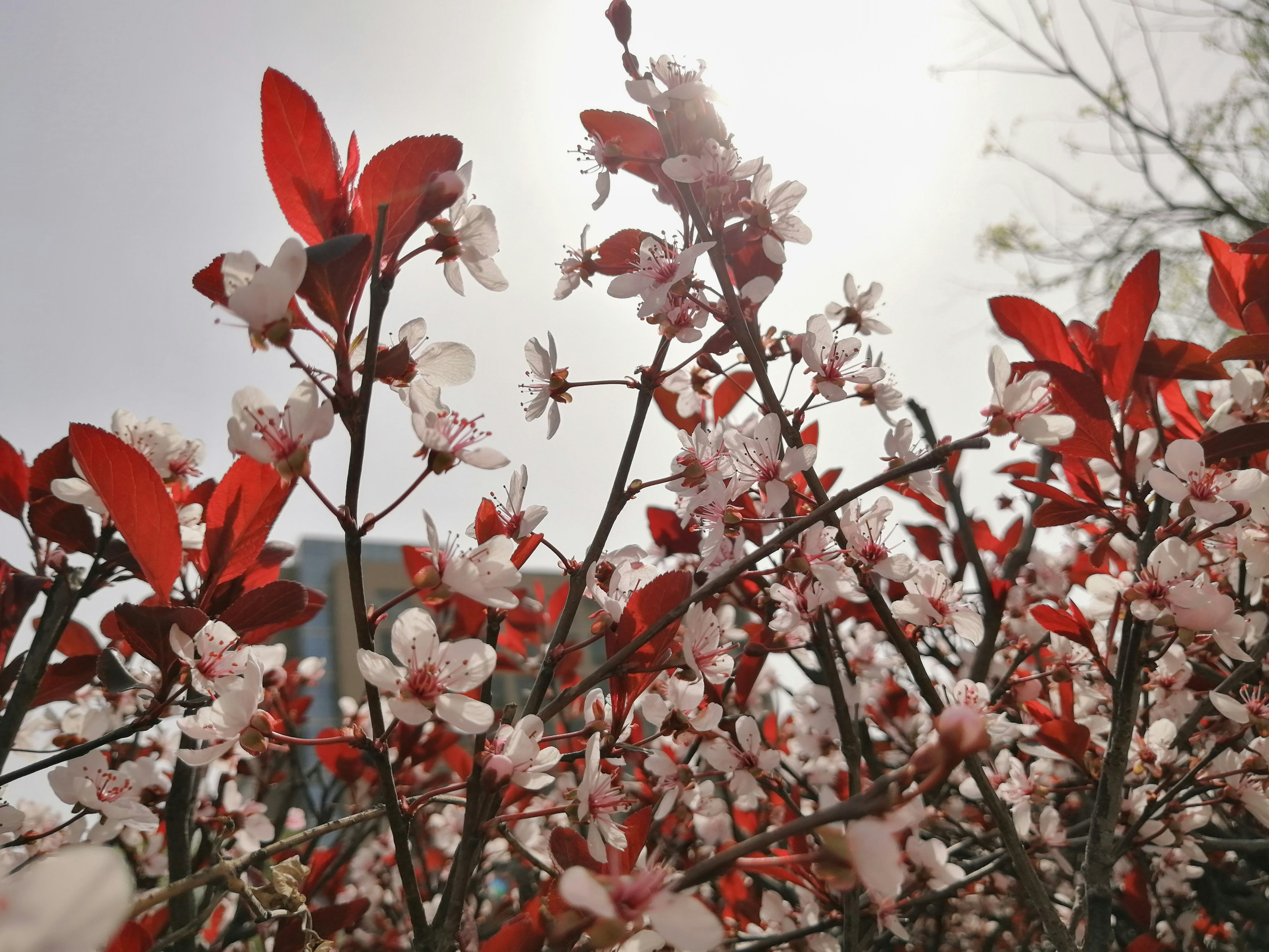 Jay Adam (@sunbowcorn) | Unsplash Photo Community