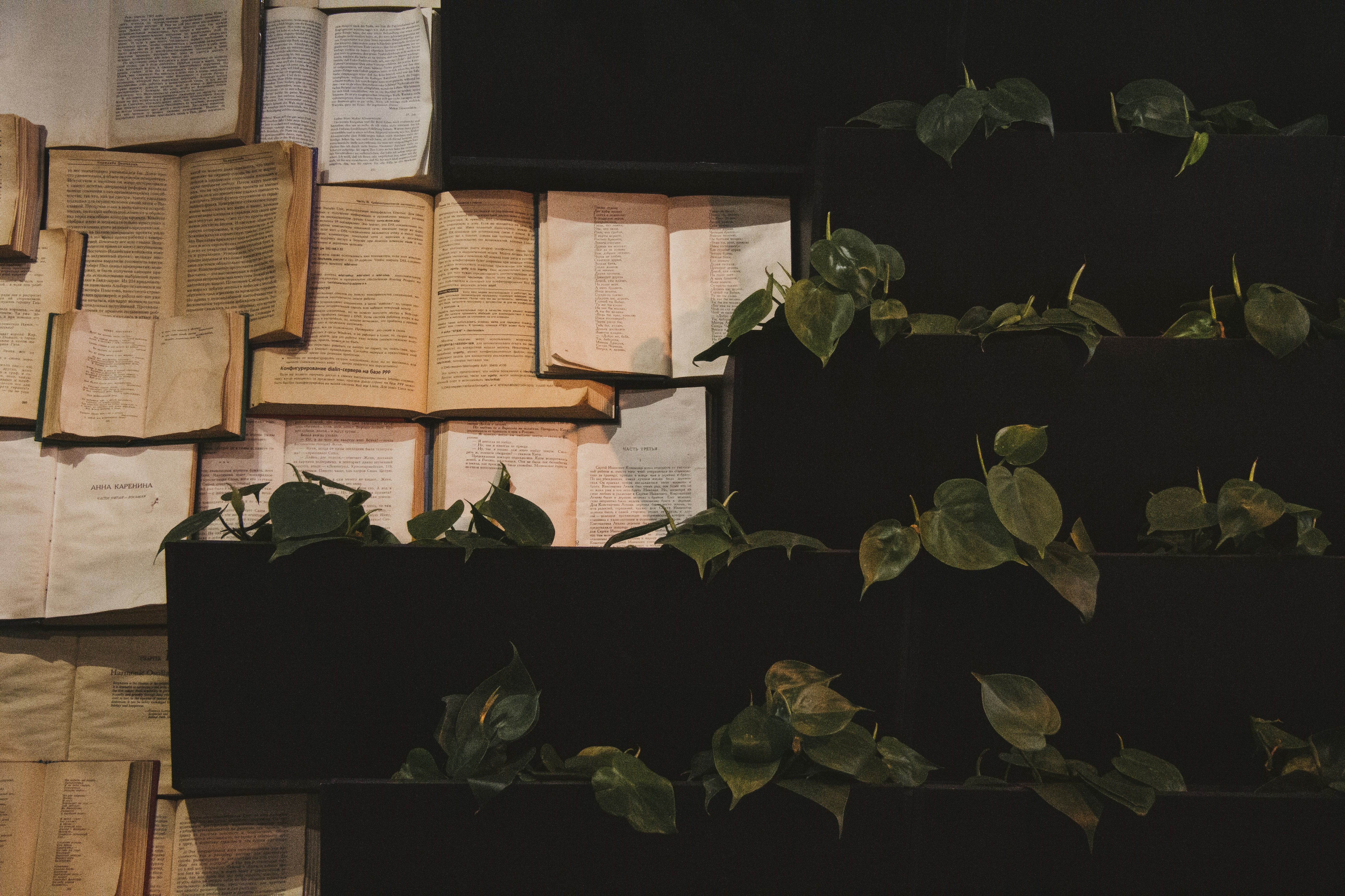 Ivy-Laced Books on a Tiered Shelf in Dim Light