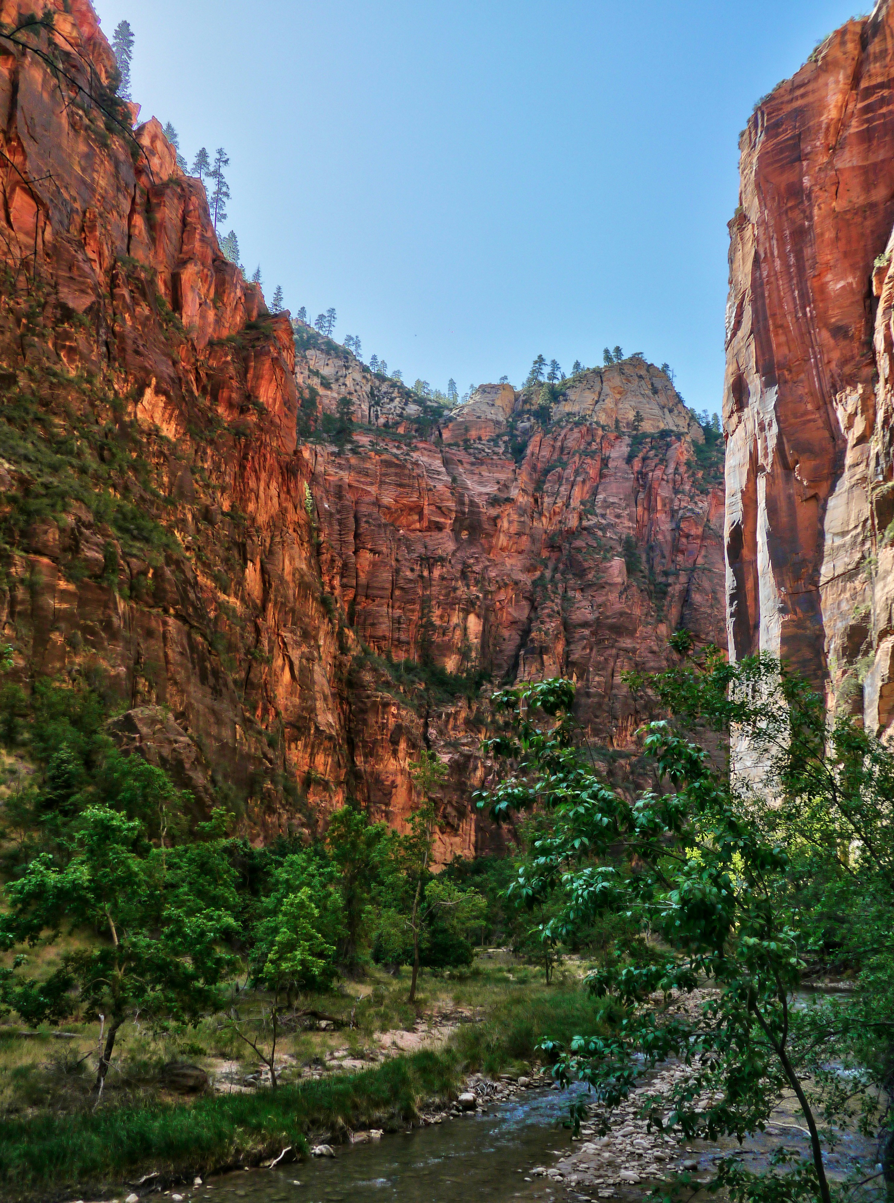 Vibrant red rock formations rise dramatically on either side of a tranquil river, framed by lush greenery and a clear blue sky.